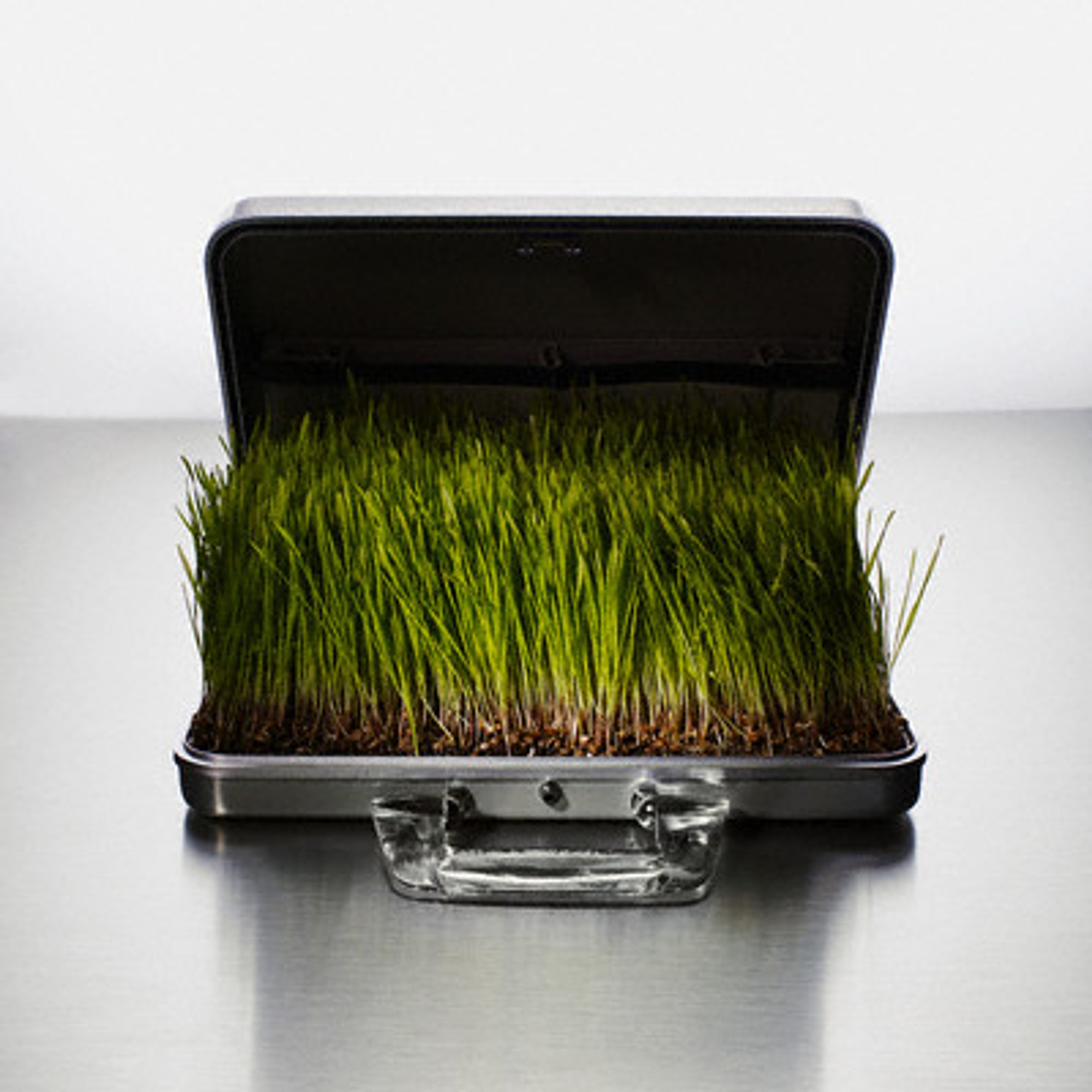 Sulėtėjo Prancūzijos ir Vokietijos ekonomikų augimas - Delfi verslas