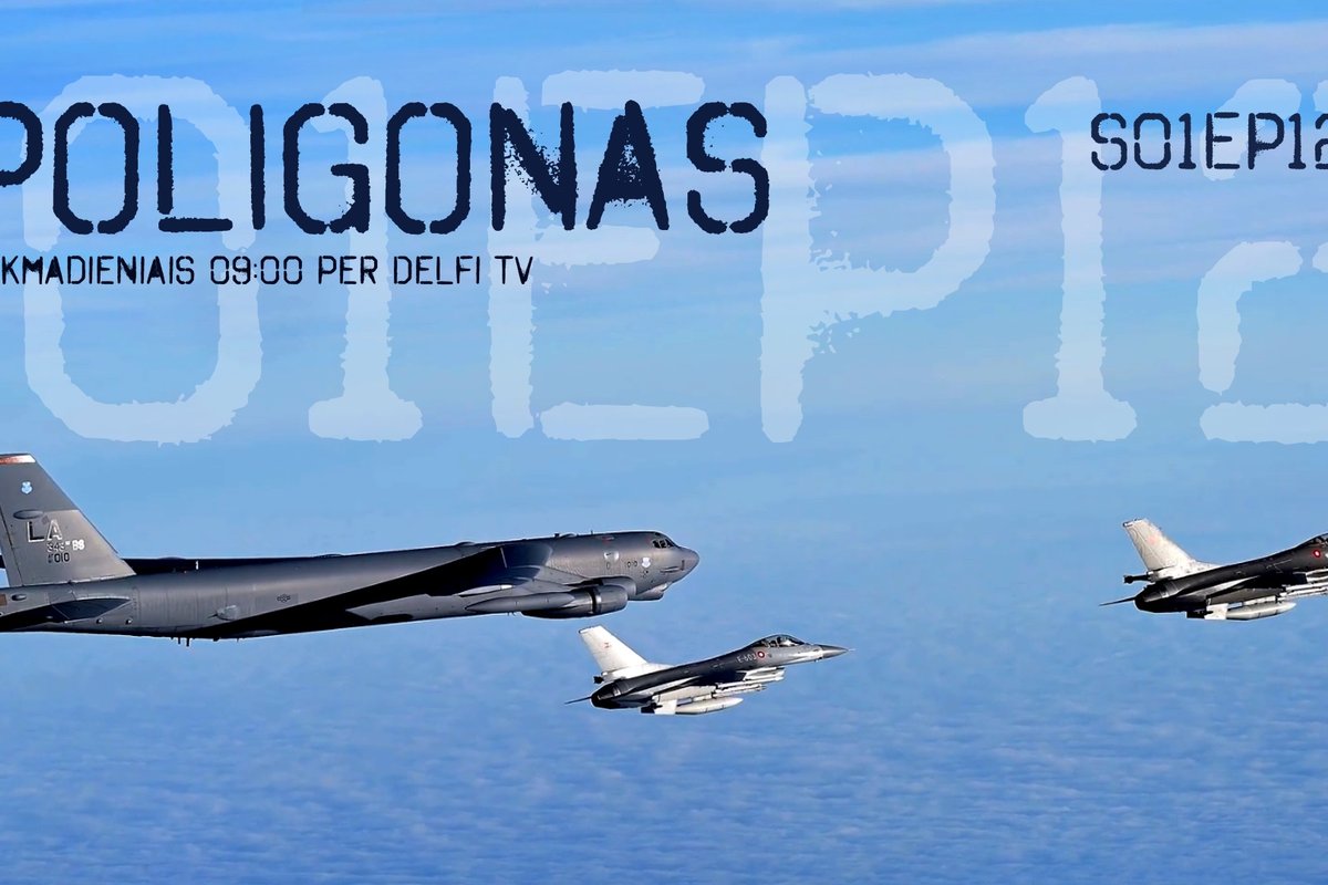 Poligonas. Kaip Lietuvos kariuomenei padės gintis „drakono dantys“ ar ...