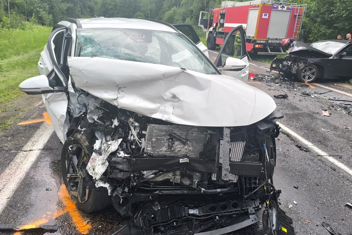 Smarki kaktomuša Pirčiupiuose – sužeisti trys žmonės - Delfi