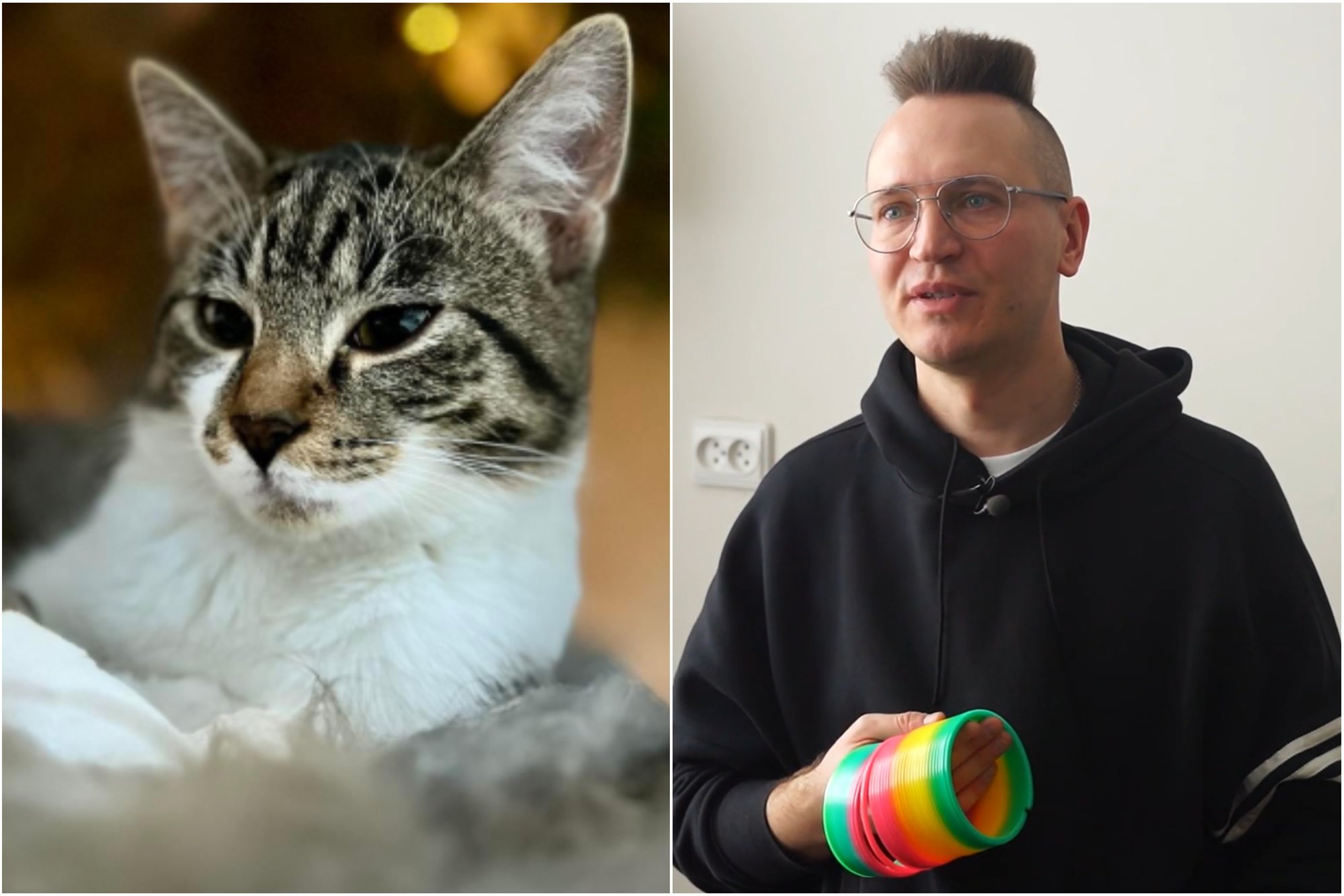 Tomo Dirgėlos namuose karaliauja pusiau šuo, pusiau katė: užaugti be ...