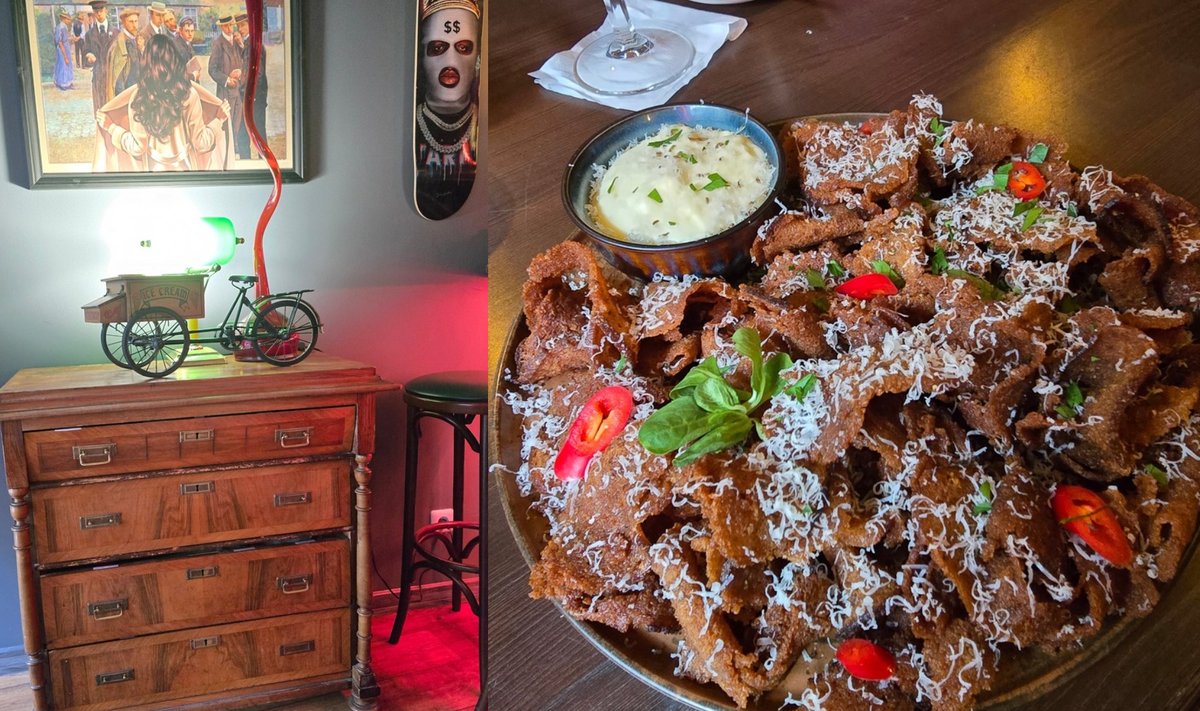 Viename Vilniaus bare apsilankęs Riebus katinas pripažino – ten, ko gero, skaniausia kepta duona ...