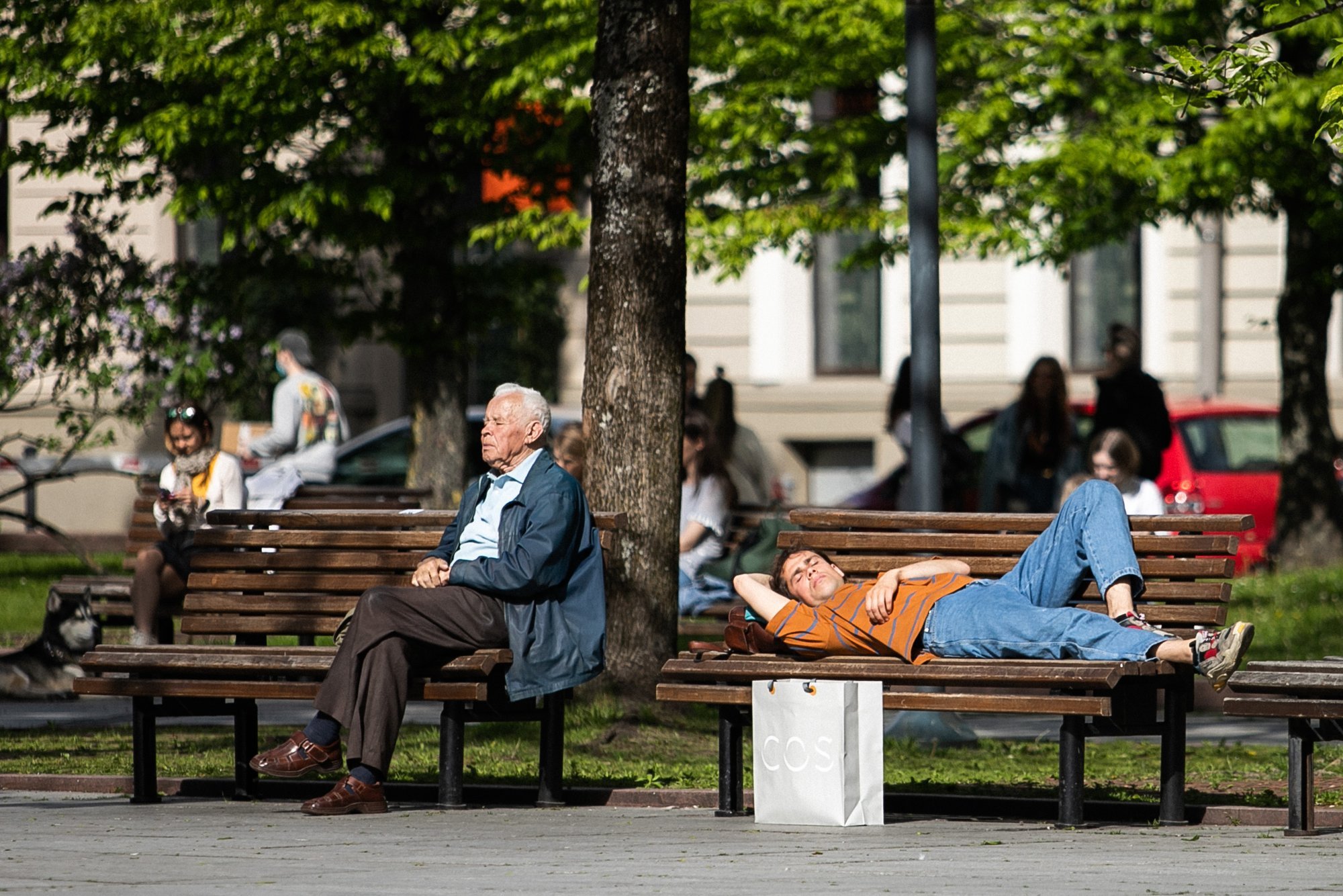 Bedarbio statusas: kaip mokėti PSD ir kokių naujų išmokų tikėtis jau ...