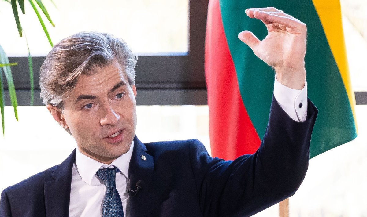 Budrys: NATO viršūnių susitikime Hagoje Ukraina nesulauks pakvietimo ...