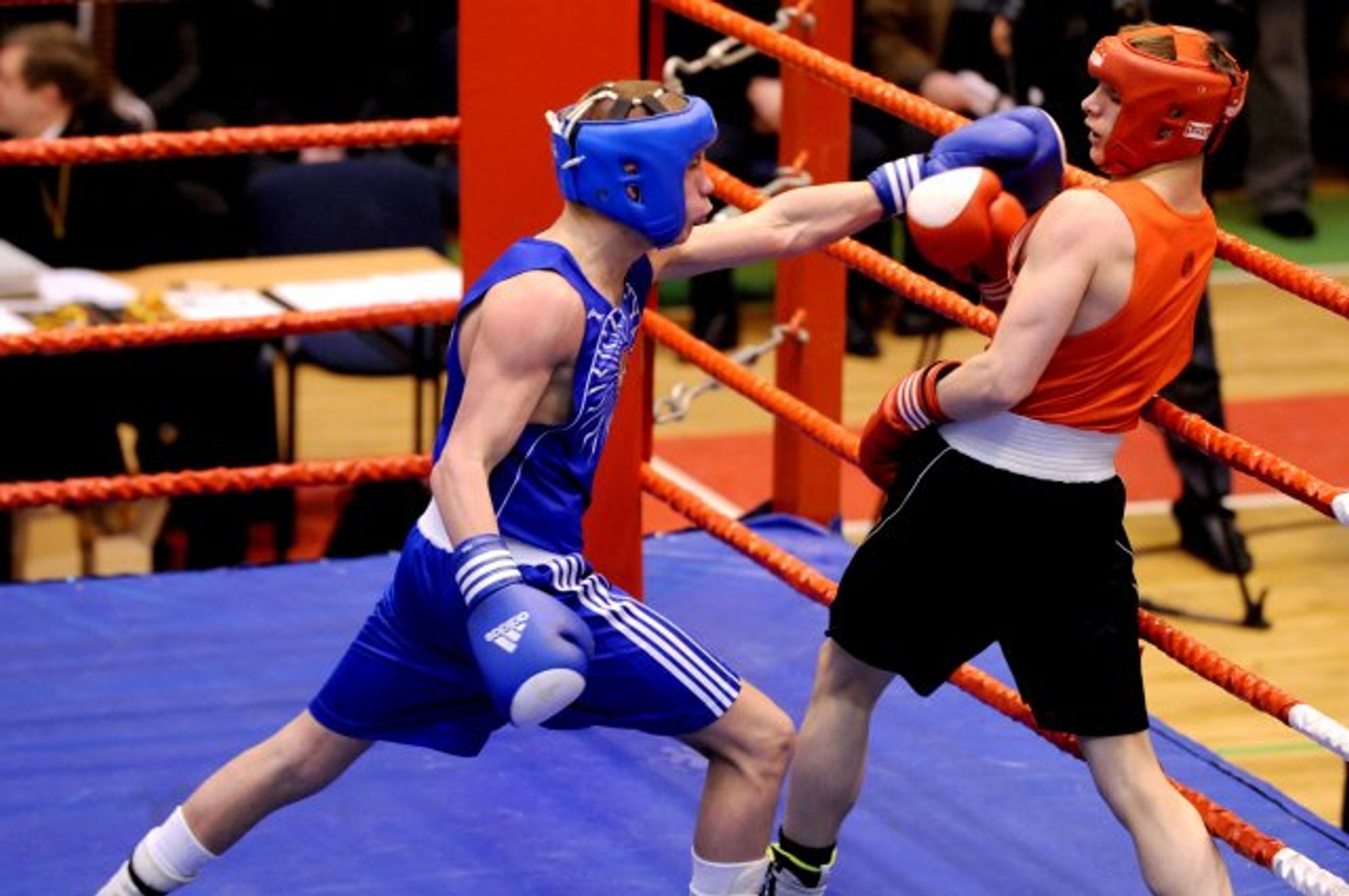 Lietuvos ir Kanados boksininkų susitikime stipresni buvo svečiai ...