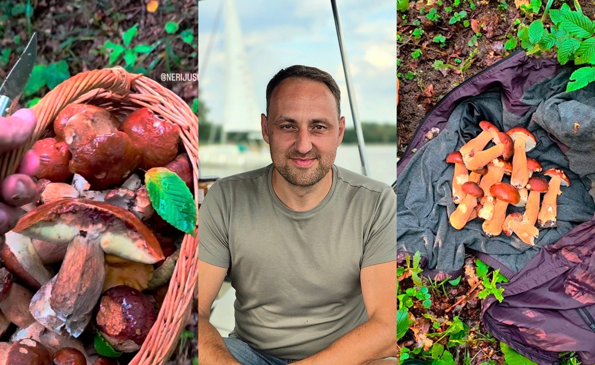 Nerijus Cesiulis užfiksavo tikrą grybautojo svajonę: gerbėjai apipylė ...