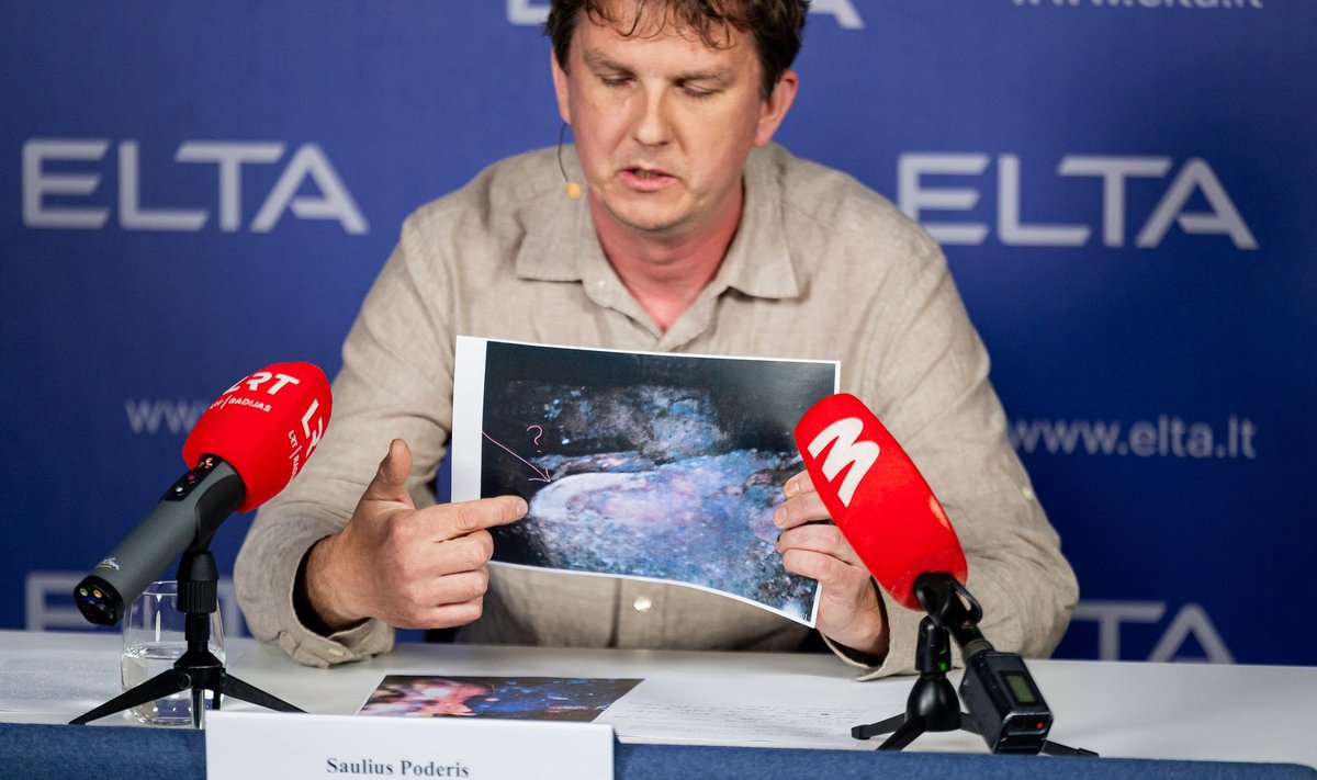 Restauratorius Poderis: dalis arkikatedros lobio dingo - Delfi