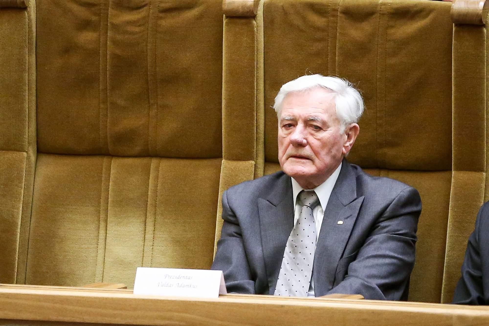 V. Adamkus mano, kad ES priekaištai Lietuvai dėl gėjų - pagrįsti - Delfi