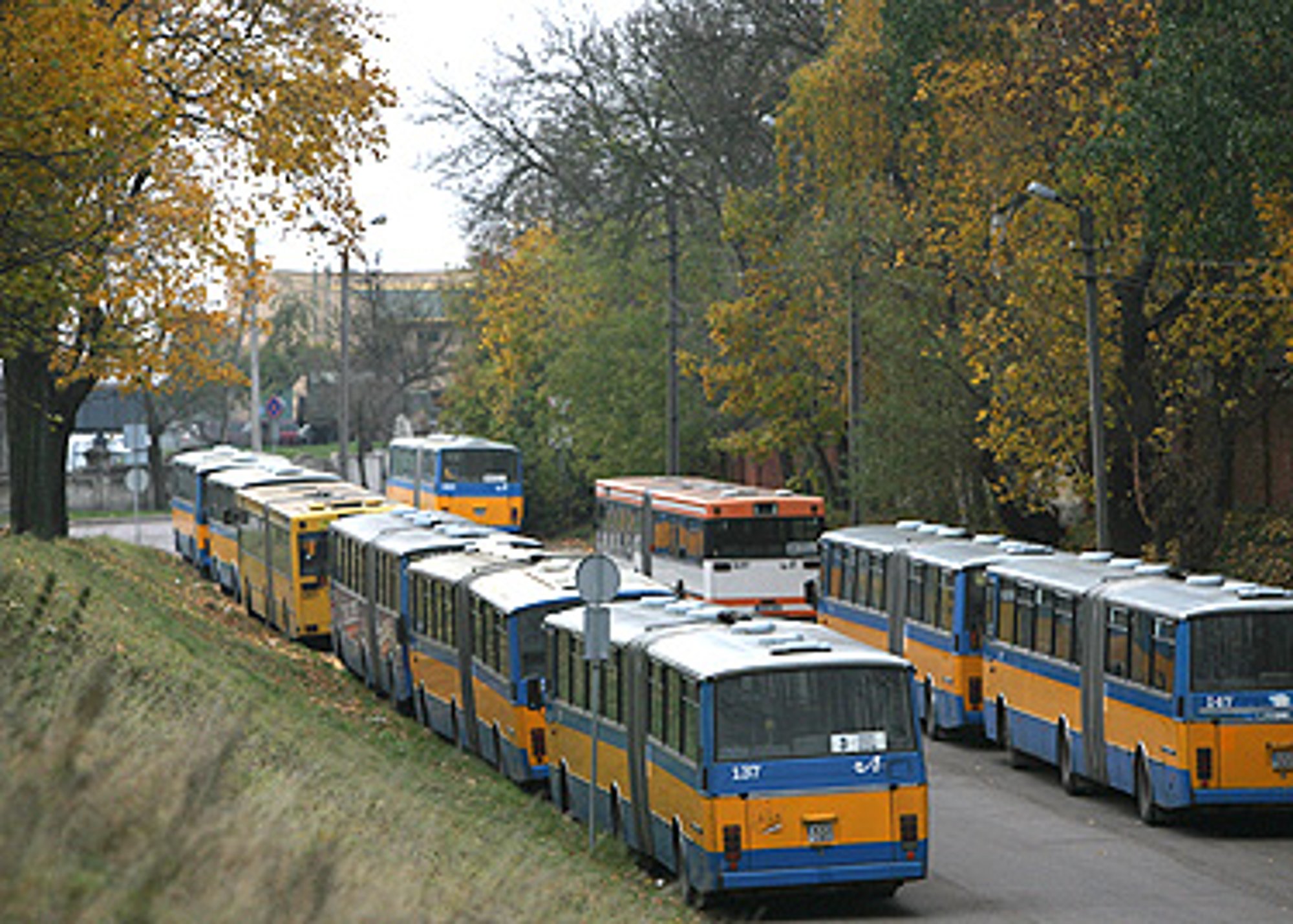 Vilniečiams – papildomi autobusai Visų Šventųjų ir Vėlinių dienomis ...