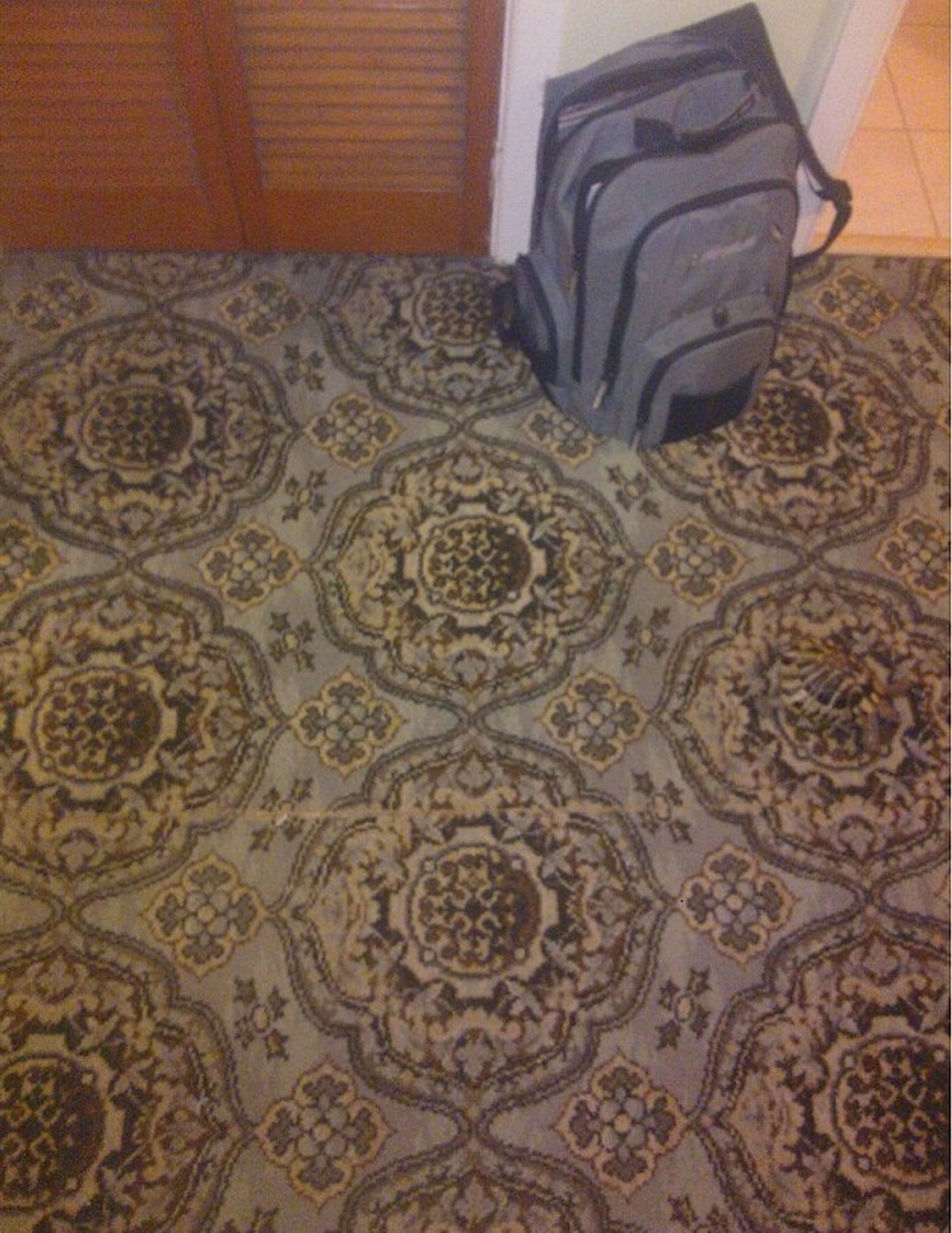 Ar matote ant kilimo pasislėpusį vėžlį? - Delfi veidai