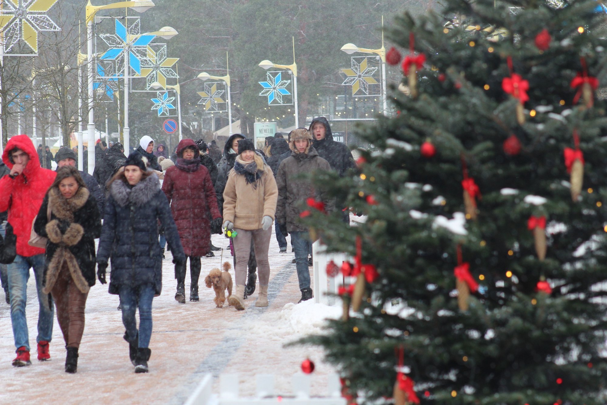 Pūga ir žvarbus vėjas neatbaidė nuo kelionės į pajūrį: Palangoje žmonių ...