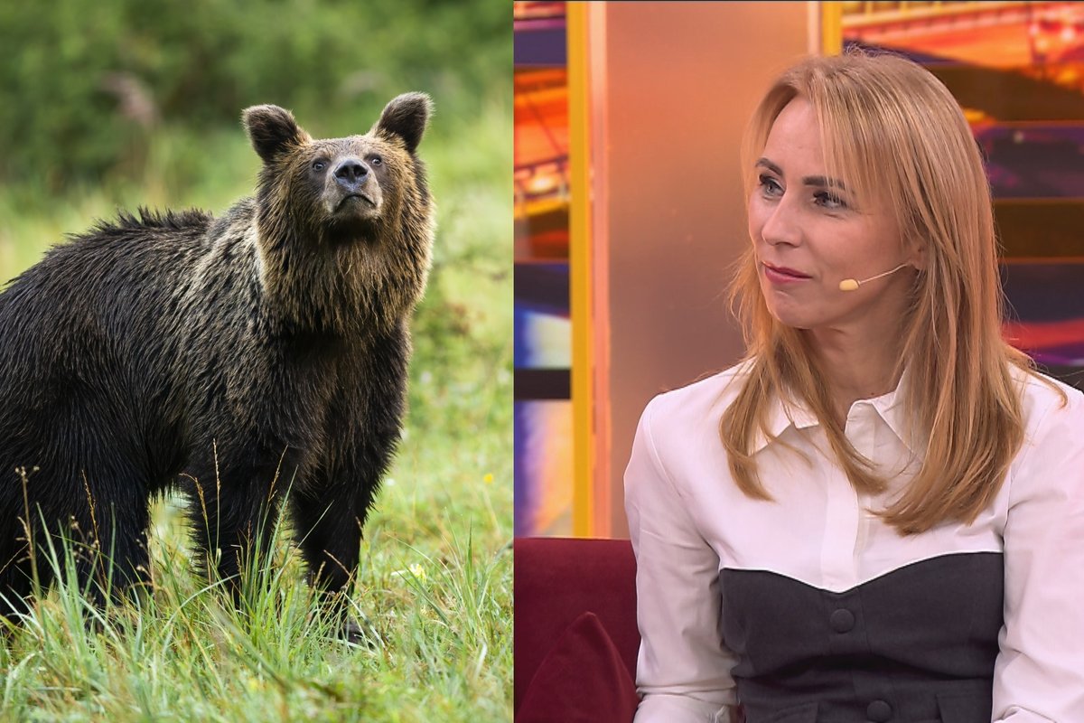 Cirke su meškomis dirbusi Agnė Zobovienė – apie tai, kas jas vilioja į ...