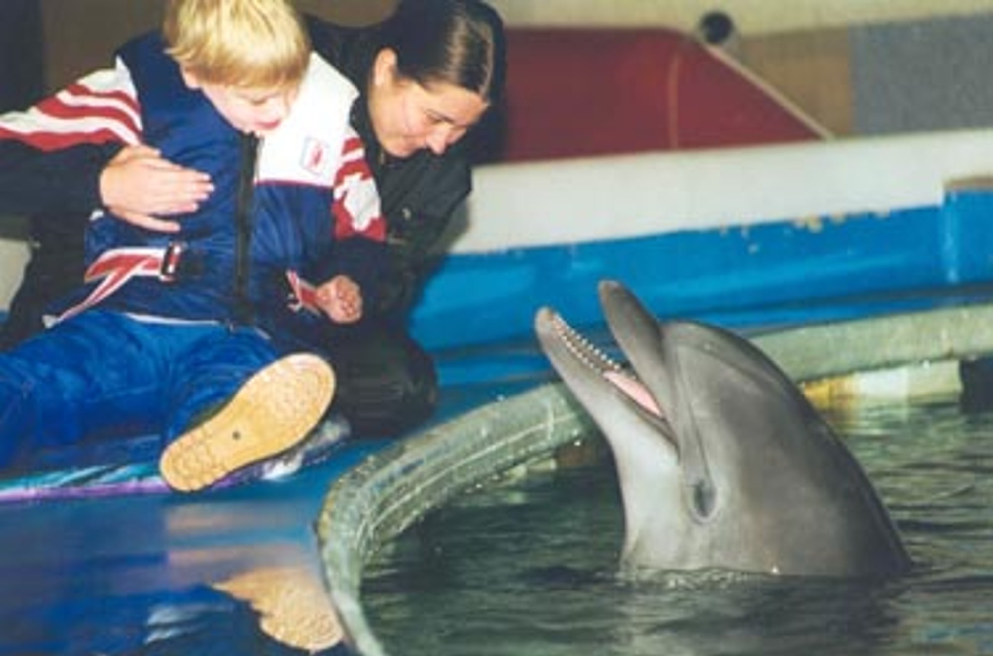 Delfinai Klaipėdoje gydys neįgalius vaikus - Delfi gyvenimas