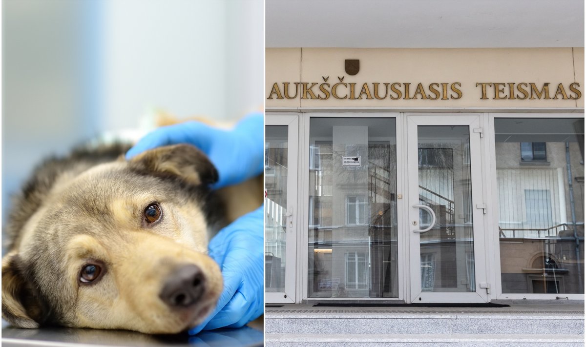 Teismas asmeniui uždraudė veisti ir laikyti gyvūnus - Letena.lt