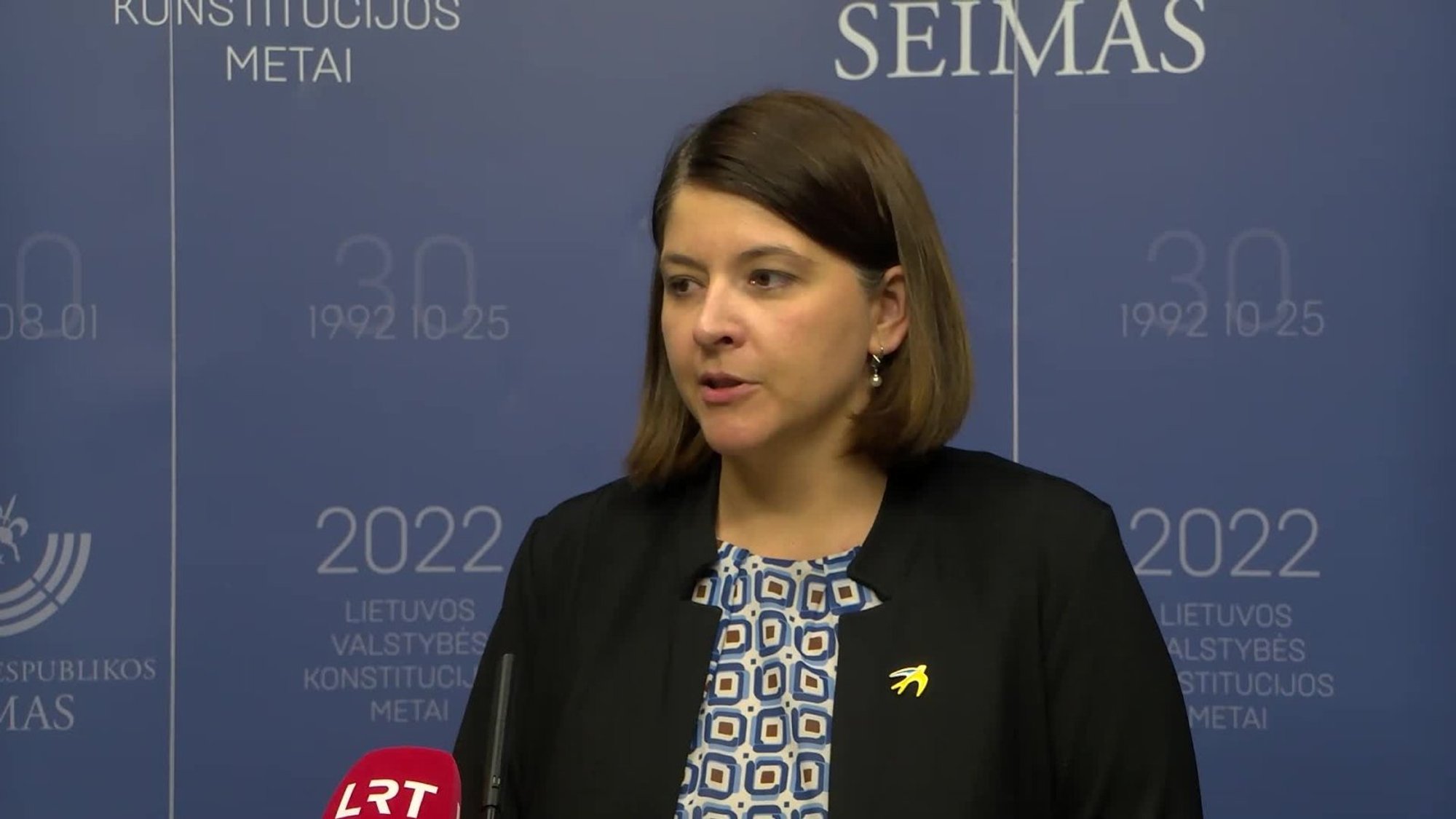Skaistės atkirtis Armonaitei: kiekvienas ministras rastų daug lengvatų ...