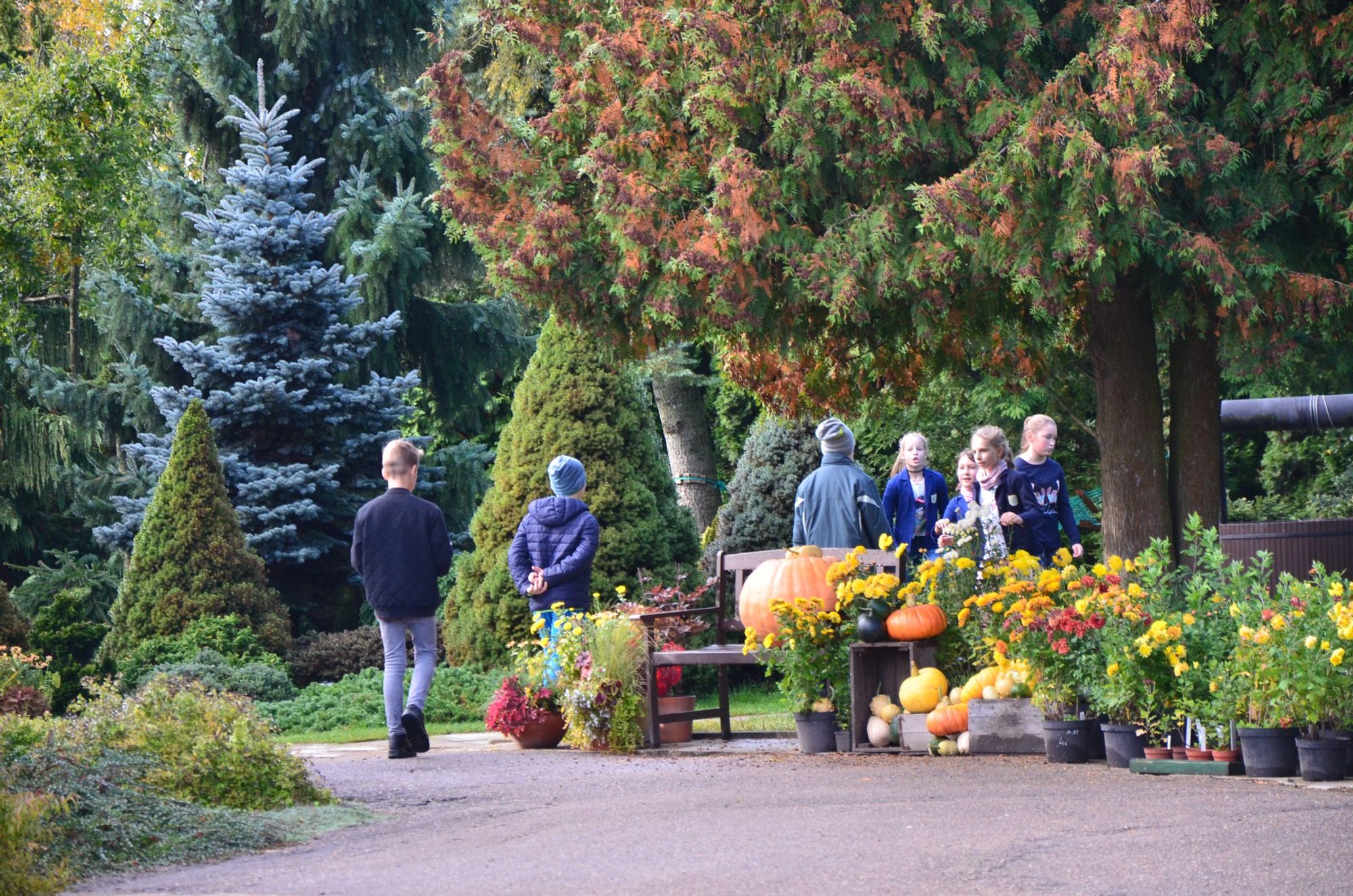 Šiaulių botanikos sode – margaspalvis ruduo: pamatykite gražiausius ...