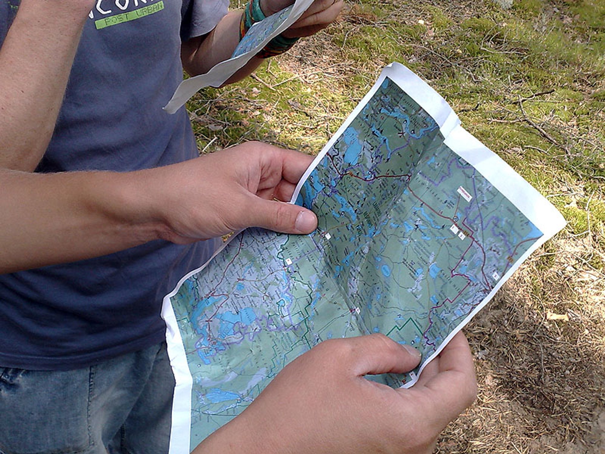 Visuomeninis aplinkos monitoringas visuomenei nepatrauklus - Delfi grynas