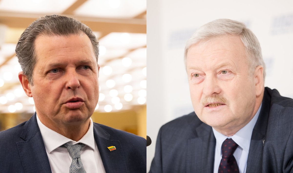 Paaiškino, kodėl pasisako už mažesnį biudžetą gynybai - Delfi