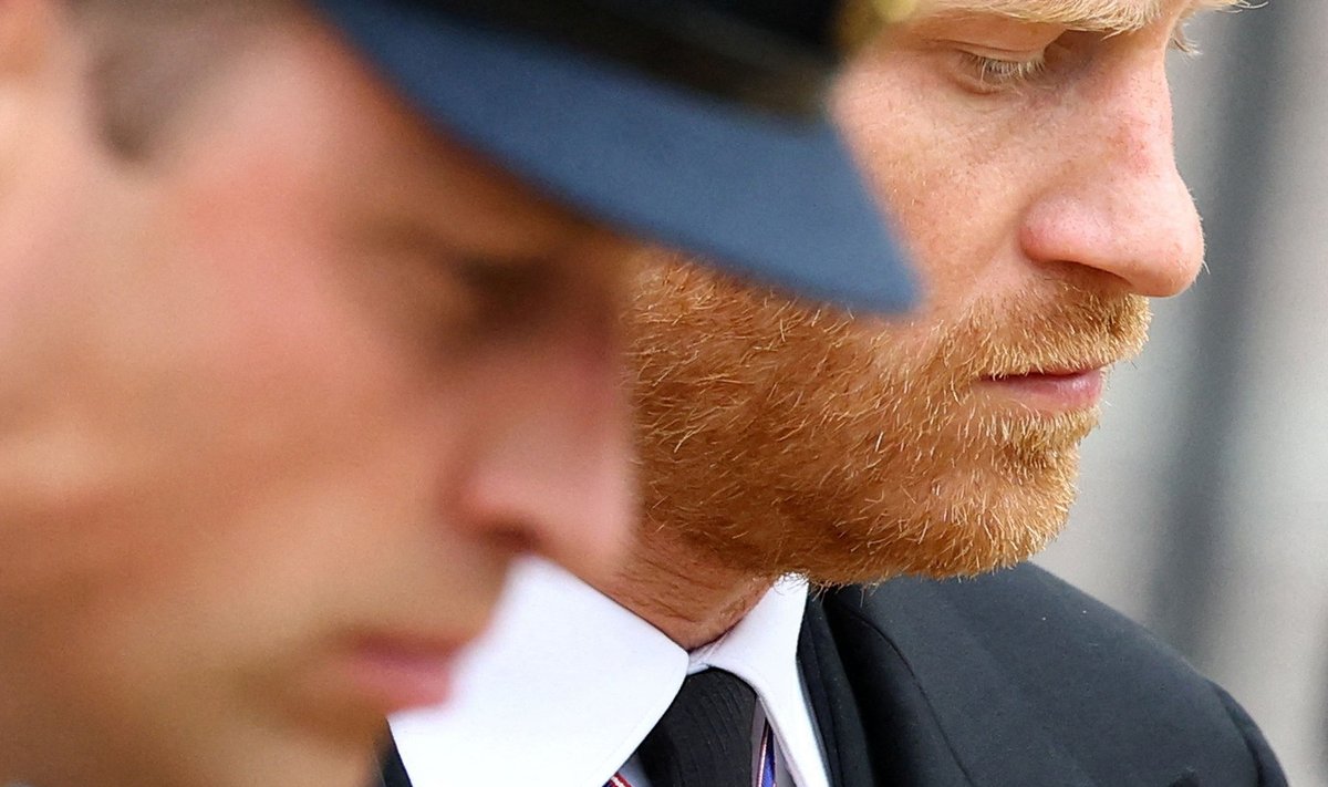 Princų Williamo ir Harry 20-metė pusseserė rasta negyva - Delfi veidai