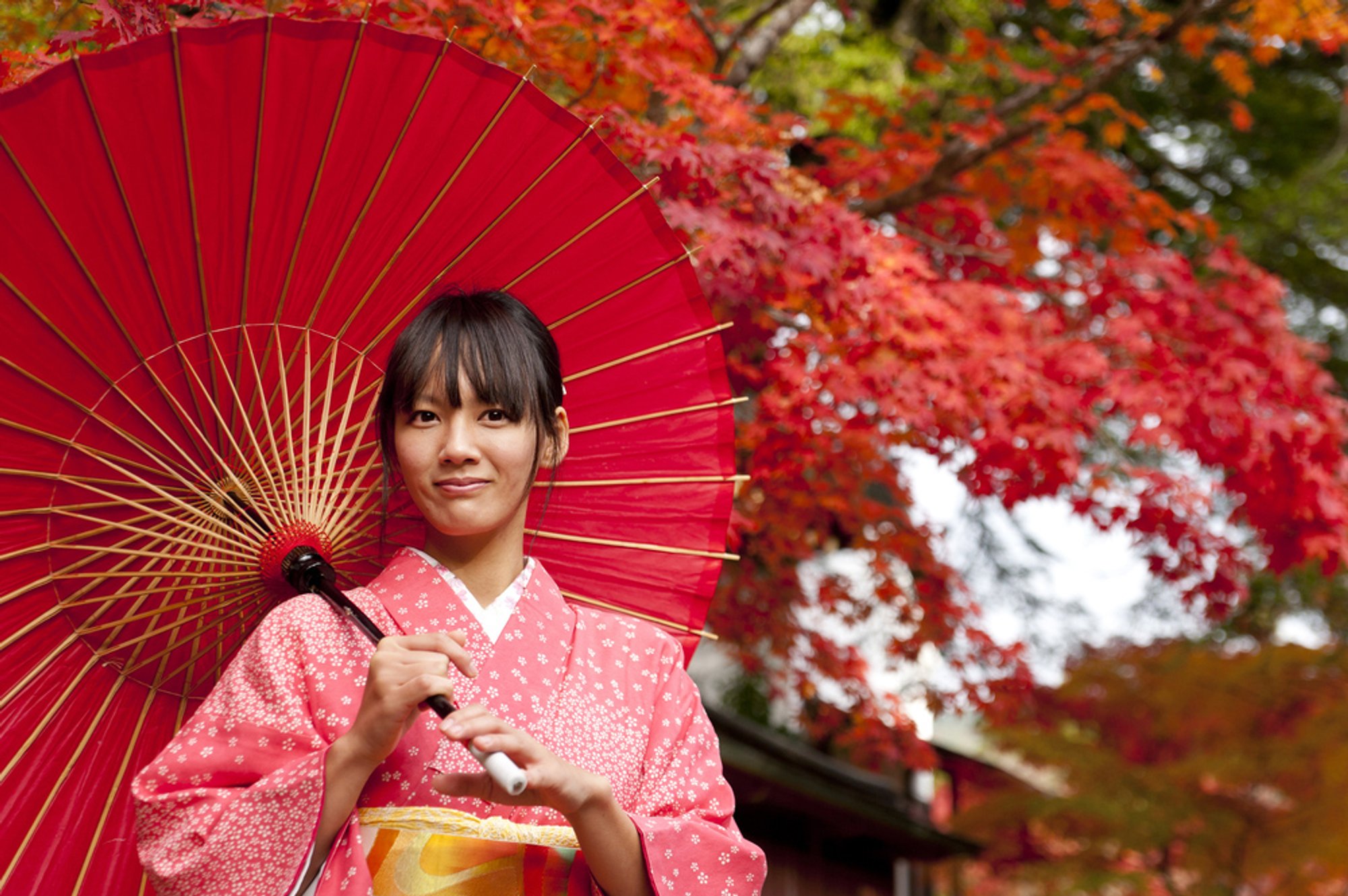 Pedagogus kviečia dalyvauti profesinio tobulinimosi programoje ...