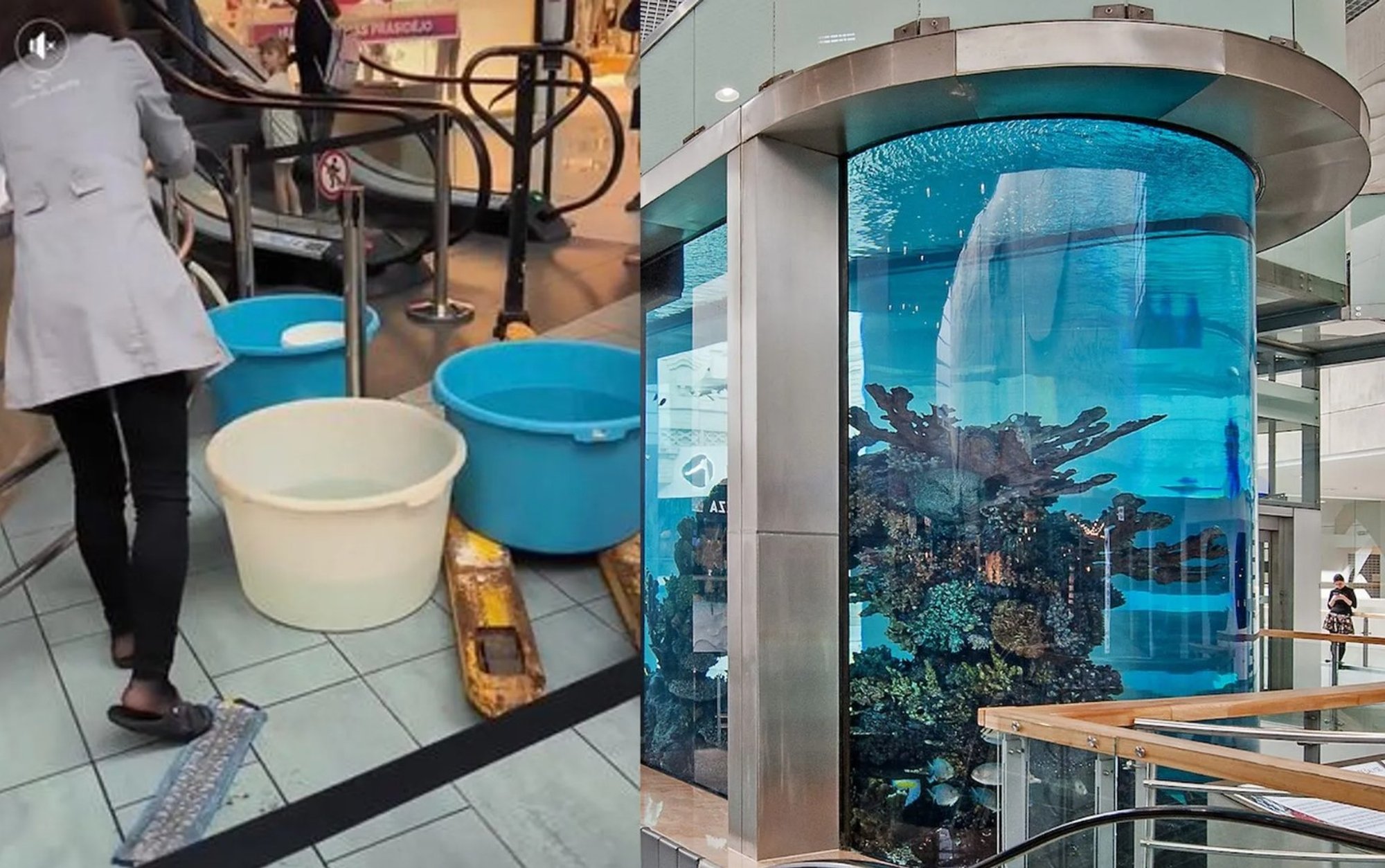 Kauniečiai užfiksavo neraminantį vaizdą: baiminasi, kad prakiuro ...