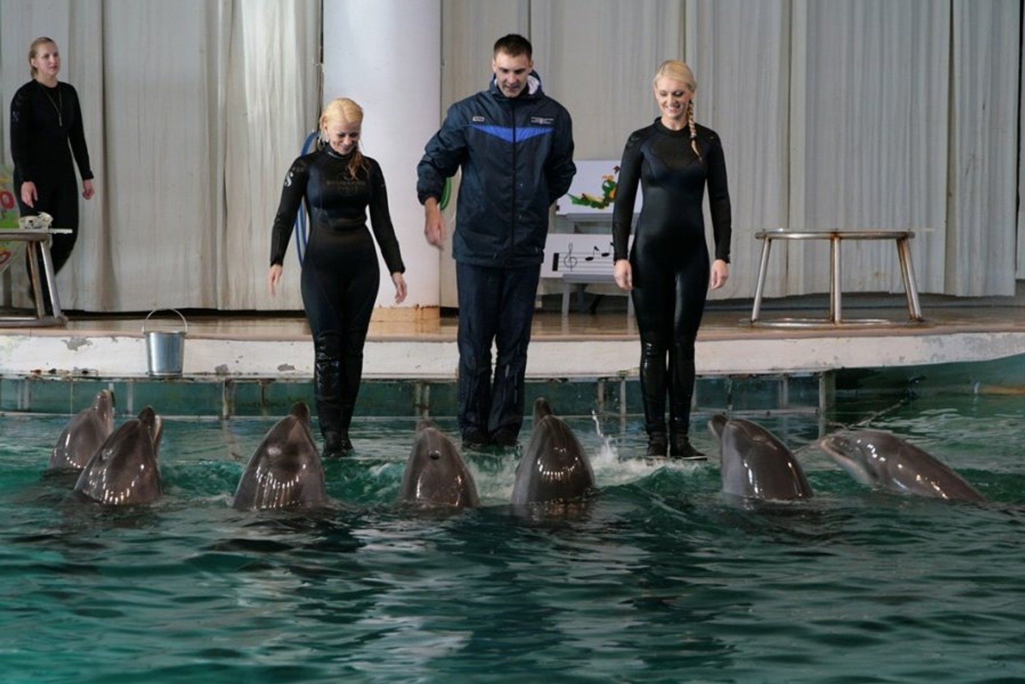 Jūrų muziejaus delfinariumas vėl atveria duris - Delfi vasara