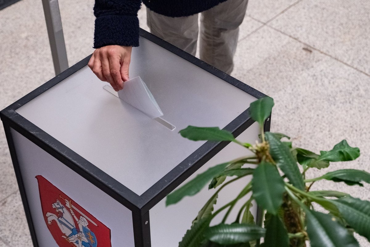 Seimo rinkimai 2024. Jau skelbiami išrinkti Seimo nariai - Delfi