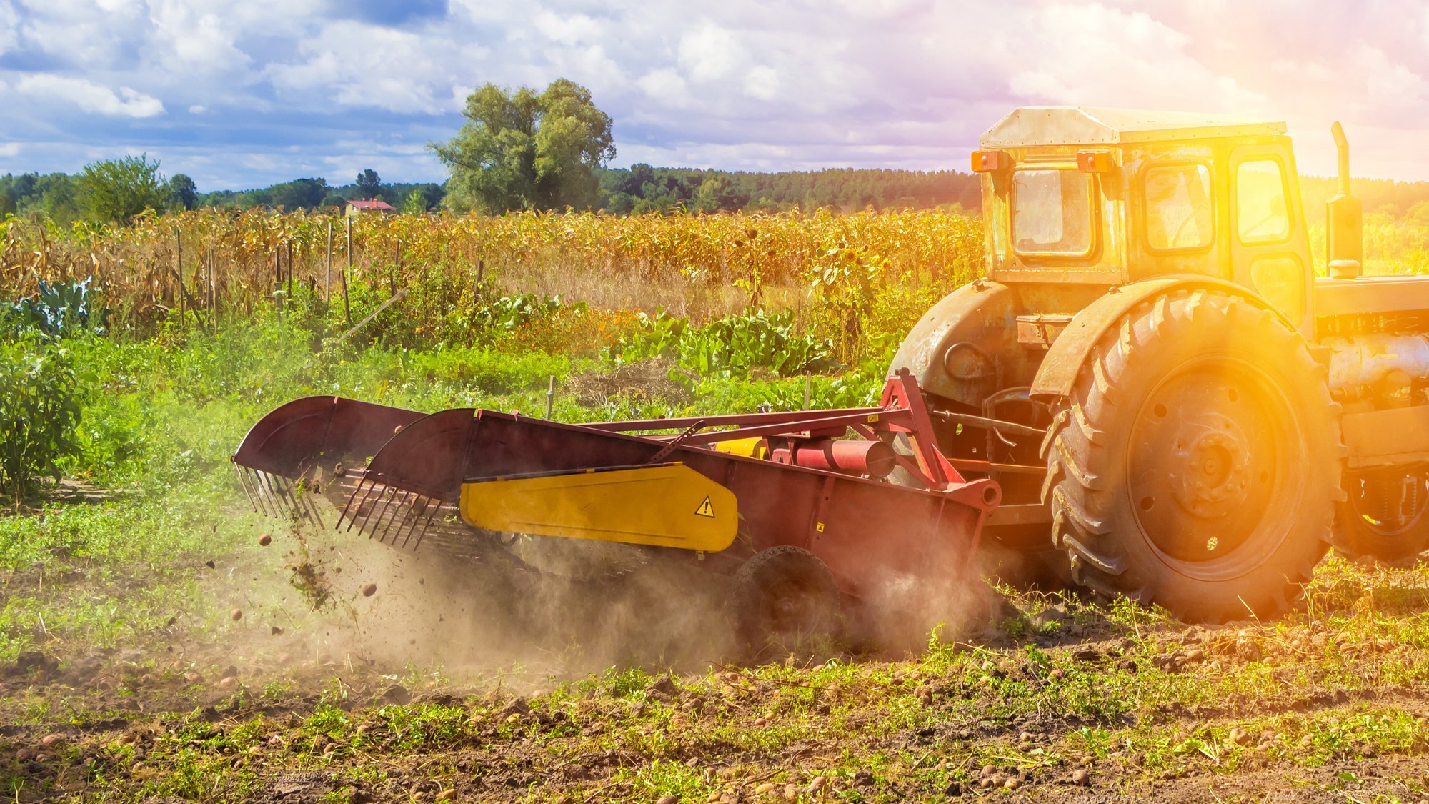 Hot weather has brought harvest time earlier - Delfi EN