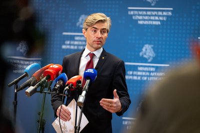 M. Sinkevičius pasigenda Budrio aktyvumo JAV karių klausimu - Delfi