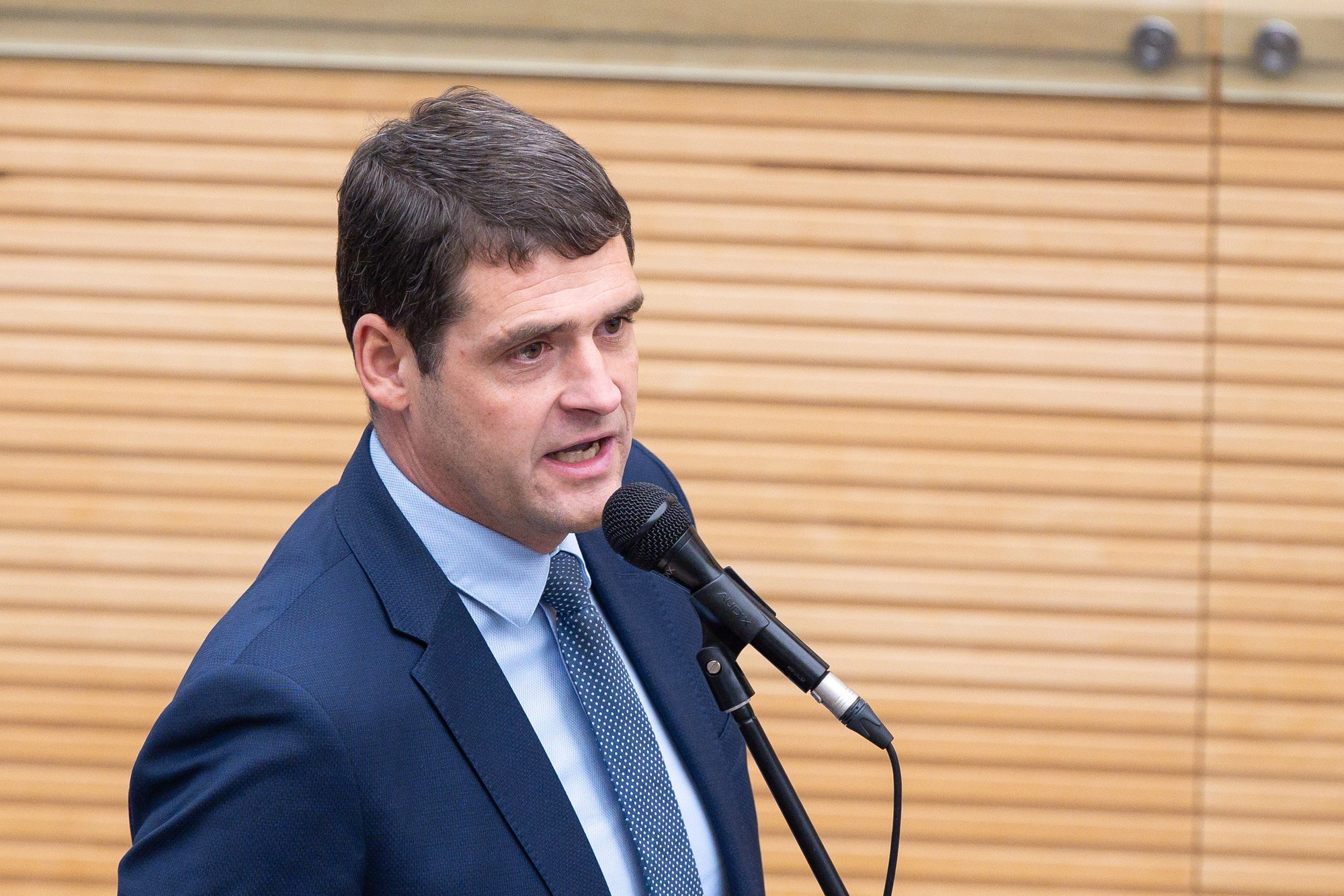 Жемайтайтис сообщил о намерении участвовать в президентских выборах - Delfi RU