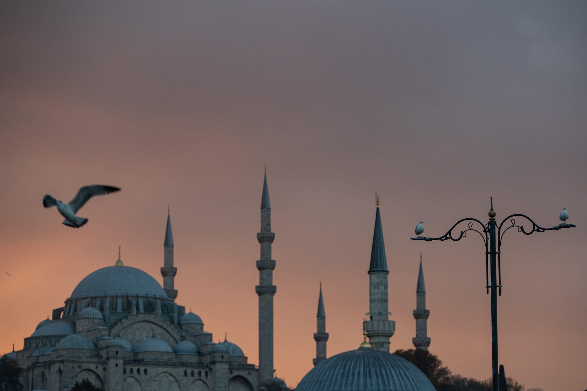 Dėl Turkijoje mirtinai apsinuodijusios šeimos – naujas posūkis - Delfi ...