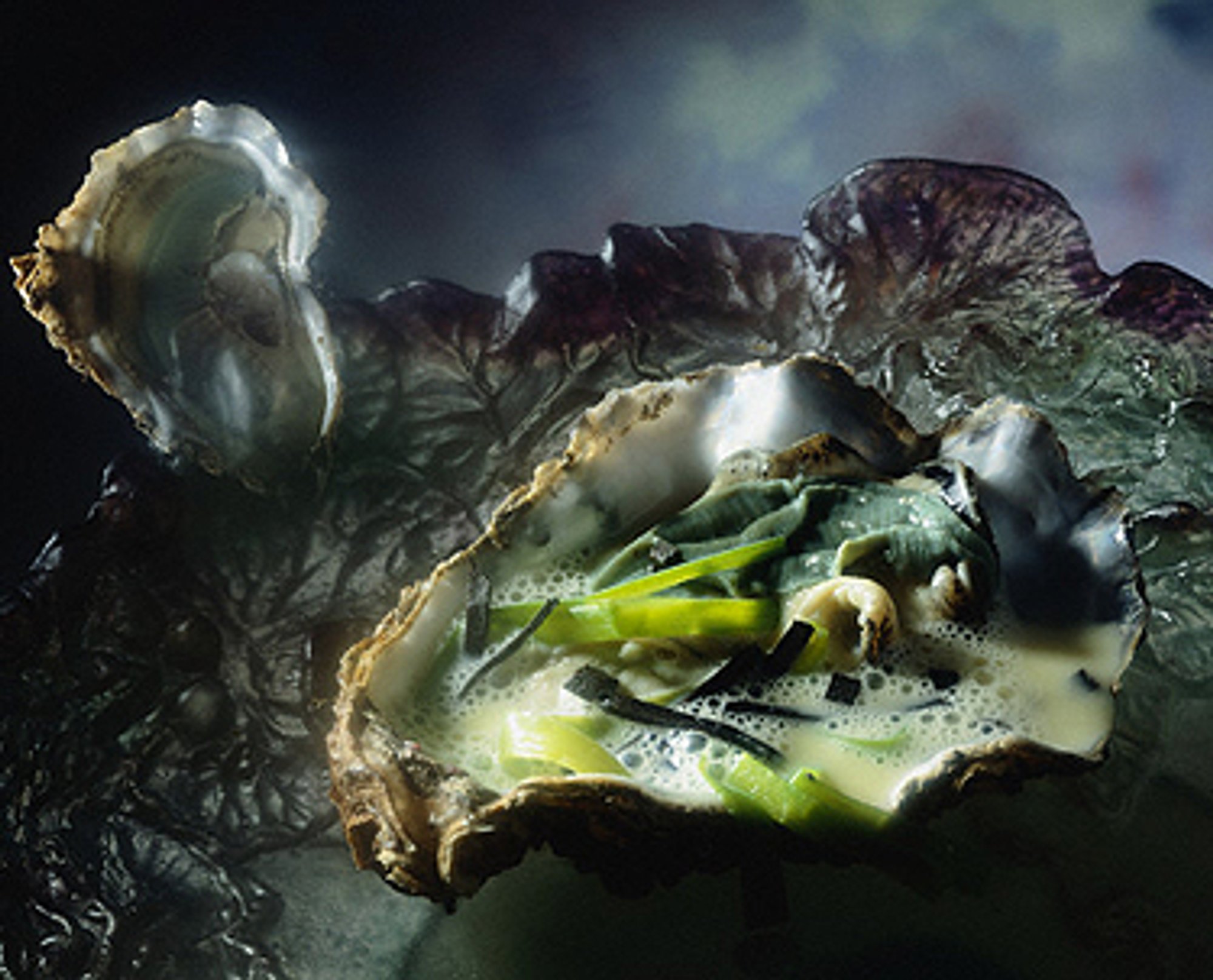 Kulinarinės pamokėlės. Austrės - įsimylėjusių maistas - Delfi gyvenimas