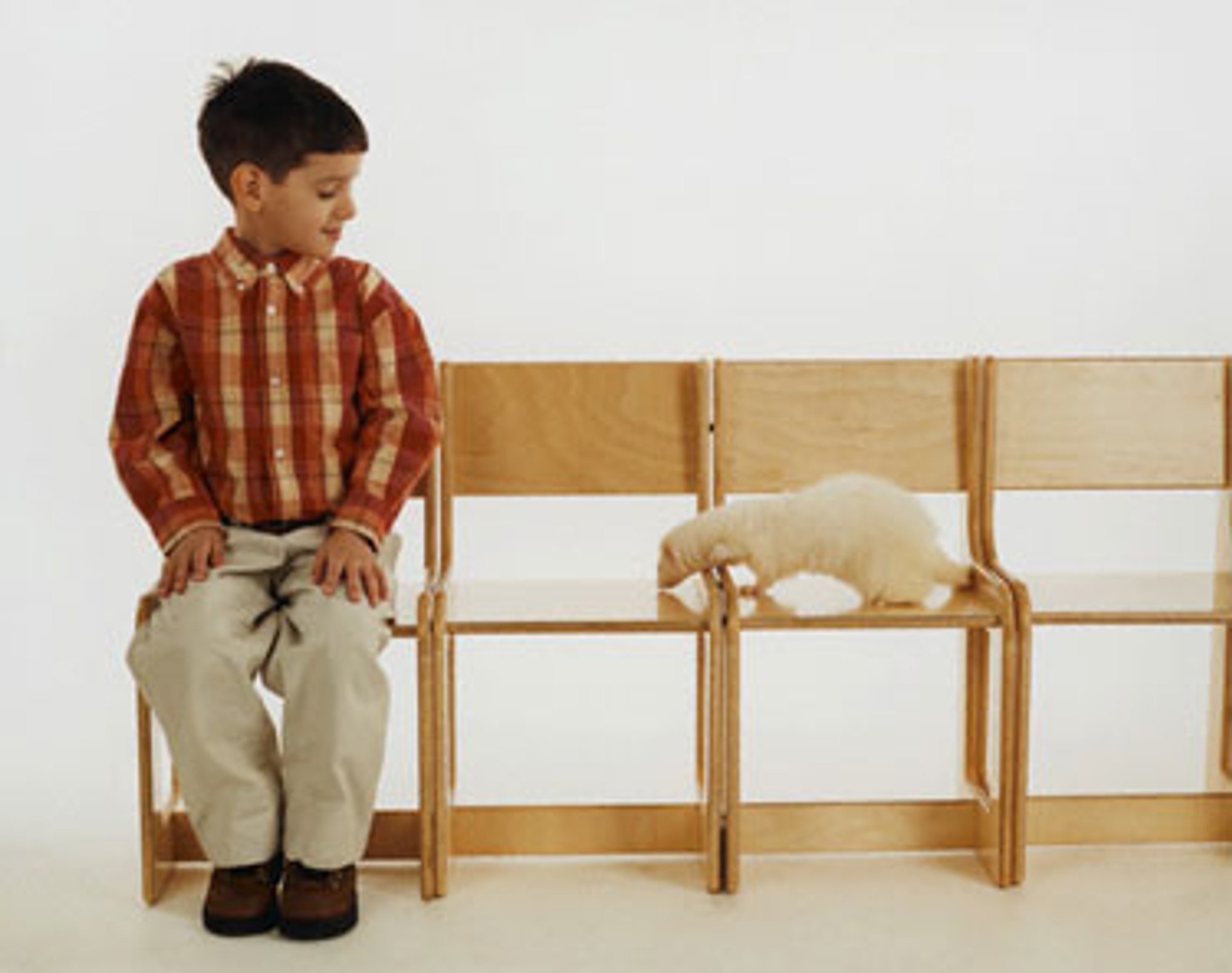 Šeškas – naujausias mados klyksmas - Delfi gyvenimas