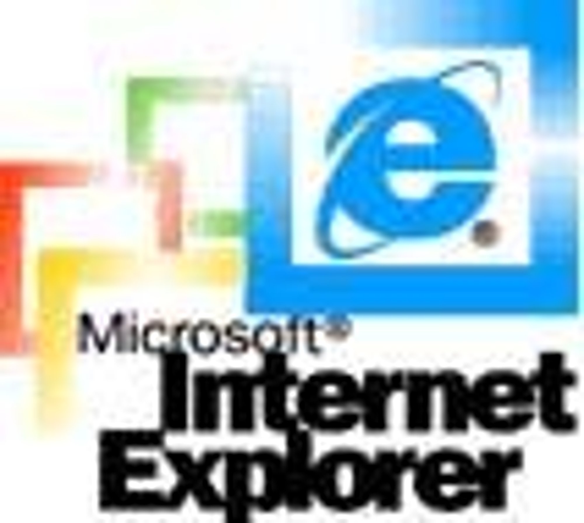 “Explorer” naršyklėje – “Anonymizer” mygtukas - Delfi