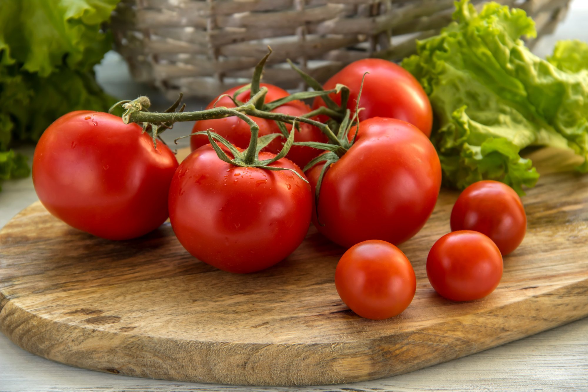 Pomidorai, vynmedžiai ir kviečiai pjaunami ir nelaistomi gali „verkti ...