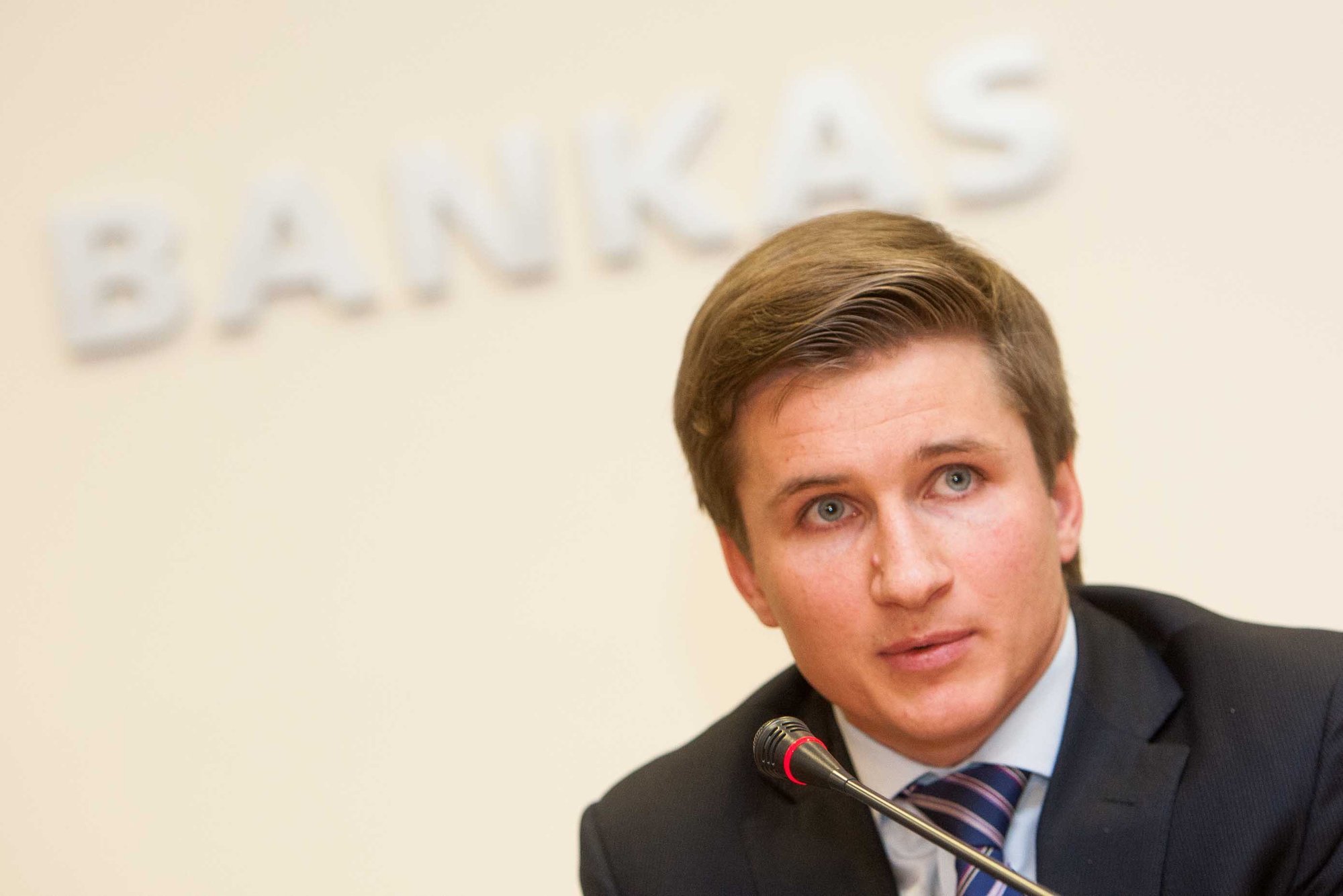 A.Butkevičius: dėl A.Audicko spręs teisininkai - Delfi verslas