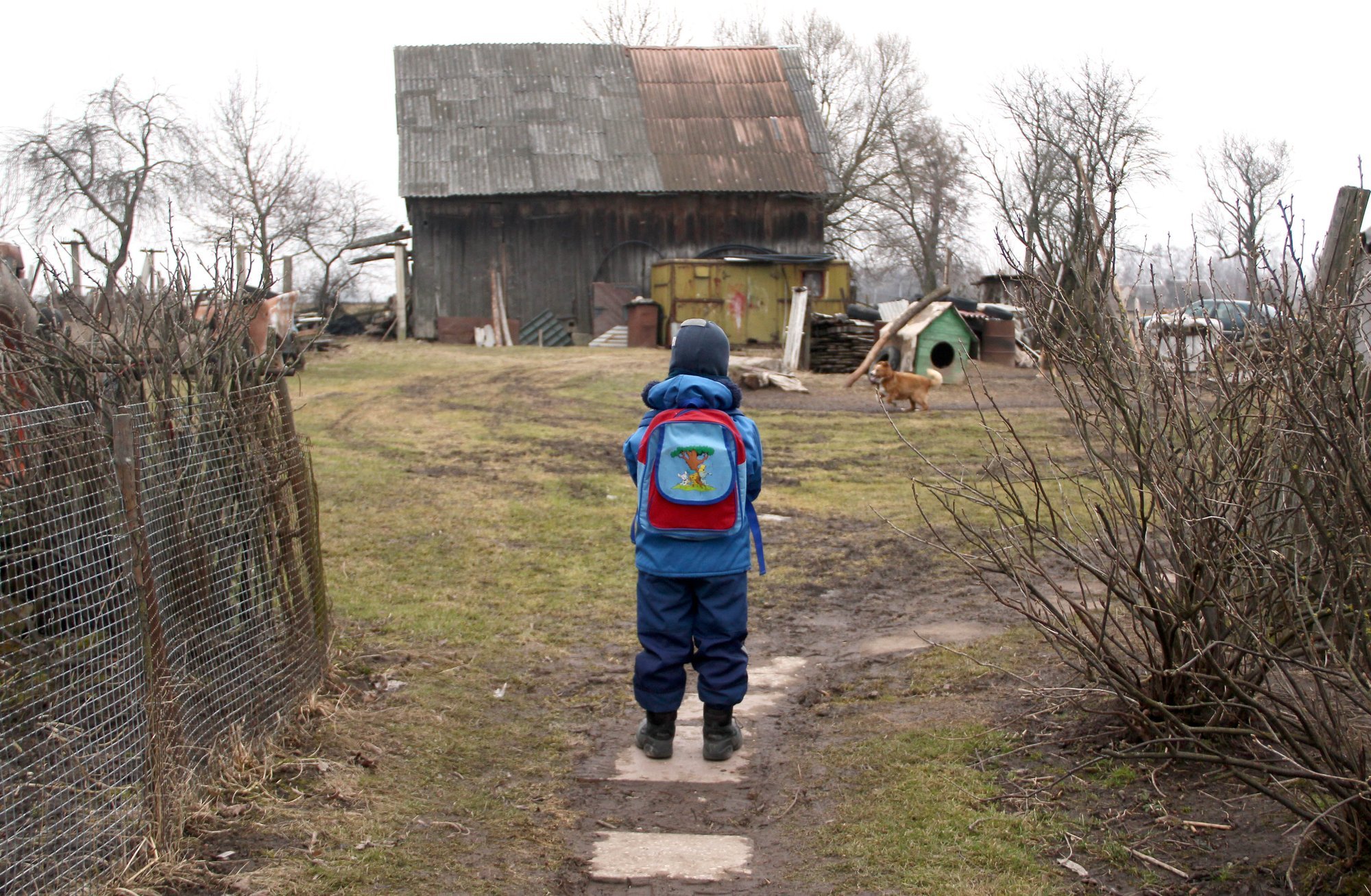 Emigrantų vaikams – išlygos, apie kurias lietuviai tegali pasvajoti - Delfi