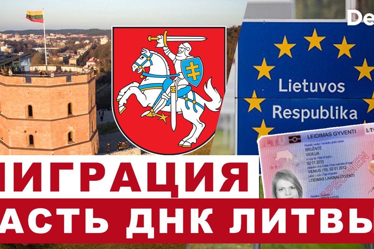 Эфир Delfi: разбираемся с историком, как и почему миграция стала частью ДНК Литвы - Delfi TV