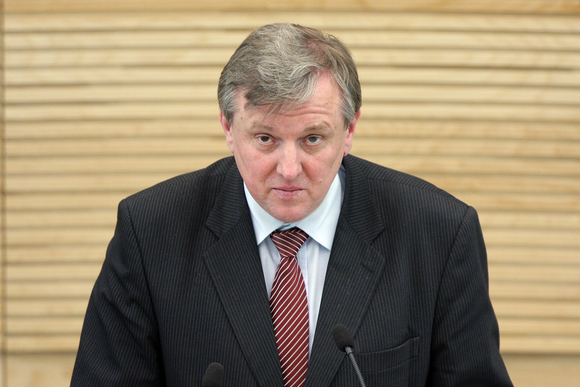 Rimantas Jonas Dagys. Kaip gyvensime ratifikavę Stambulo konvenciją ...