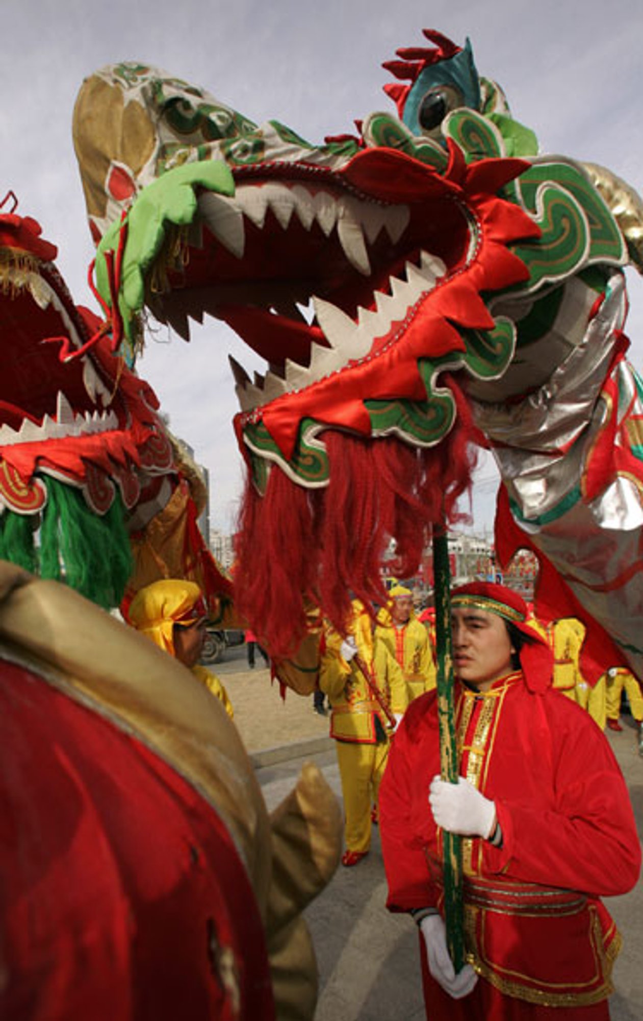 Drakono akis - Delfi gyvenimas