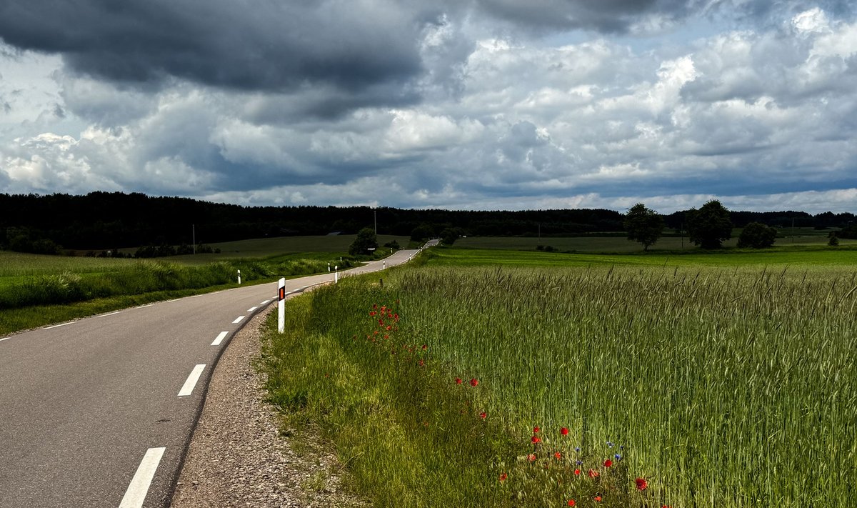 VMI ragina sumokėti žemės mokestį: yra ir išimtis - Delfi verslas