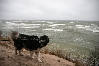 Lietuvą netrukus užguls neramus ciklonas - Delfi