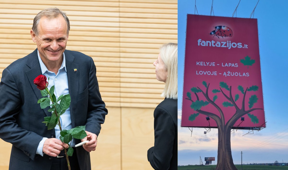 Parlamentarai apie erotinių prekių reklamos ribojimą: vėliau ...