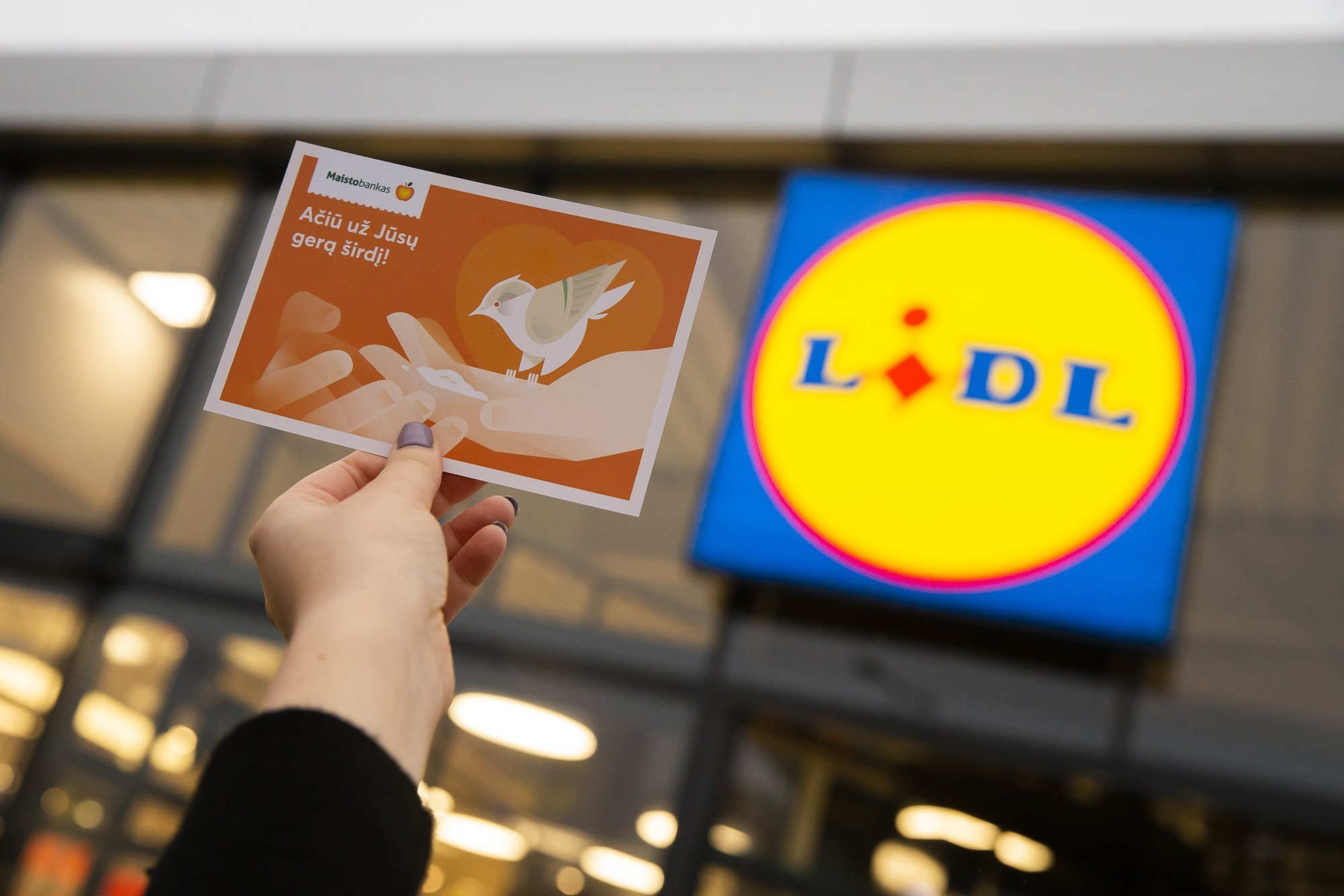 „Lidl“ prekybos tinkle – pavasarinė „Maisto banko“ akcija: aukoti bus ...