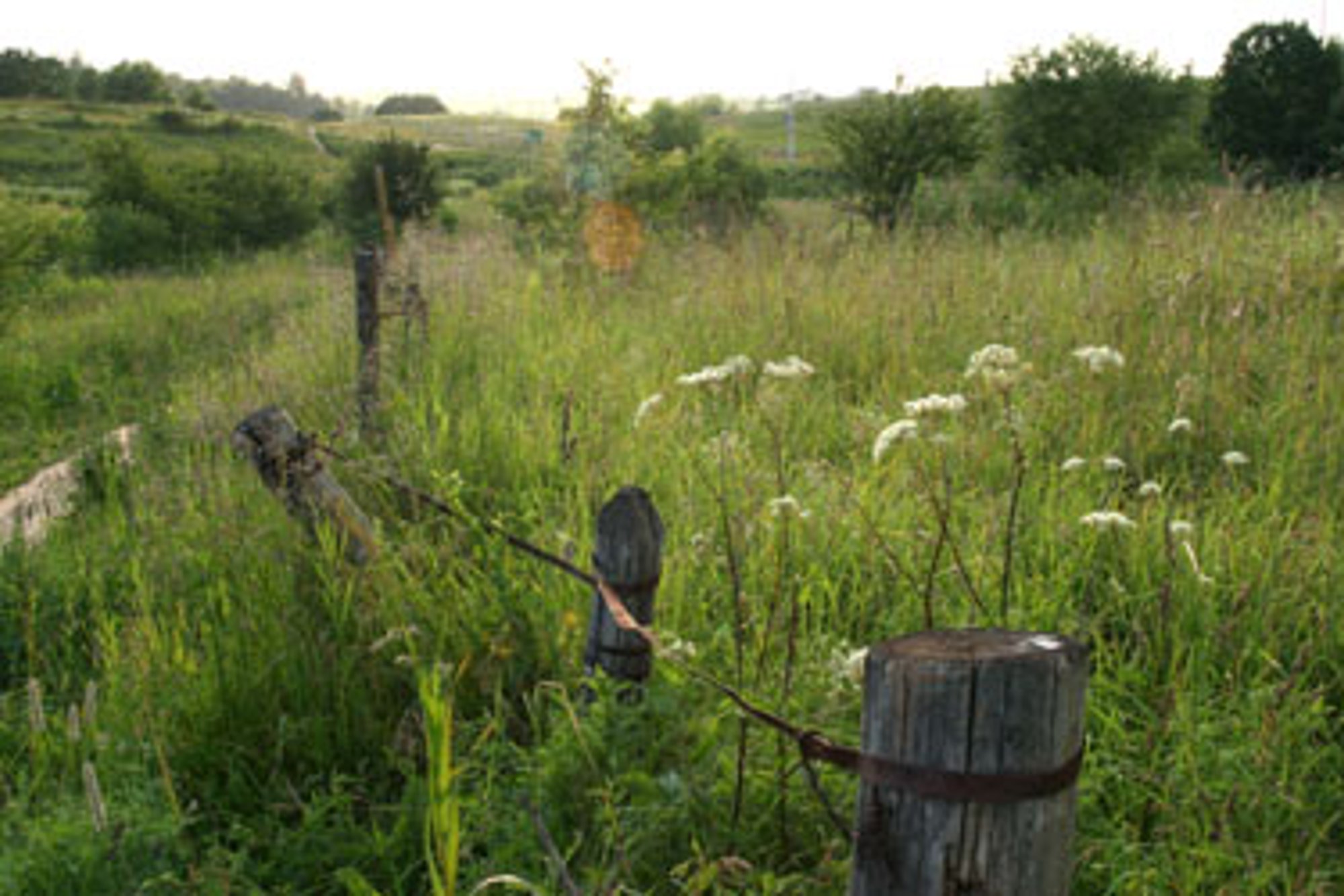 Kaimo turizmo sodybose poilsiavo 22,6 proc. daugiau - Delfi verslas