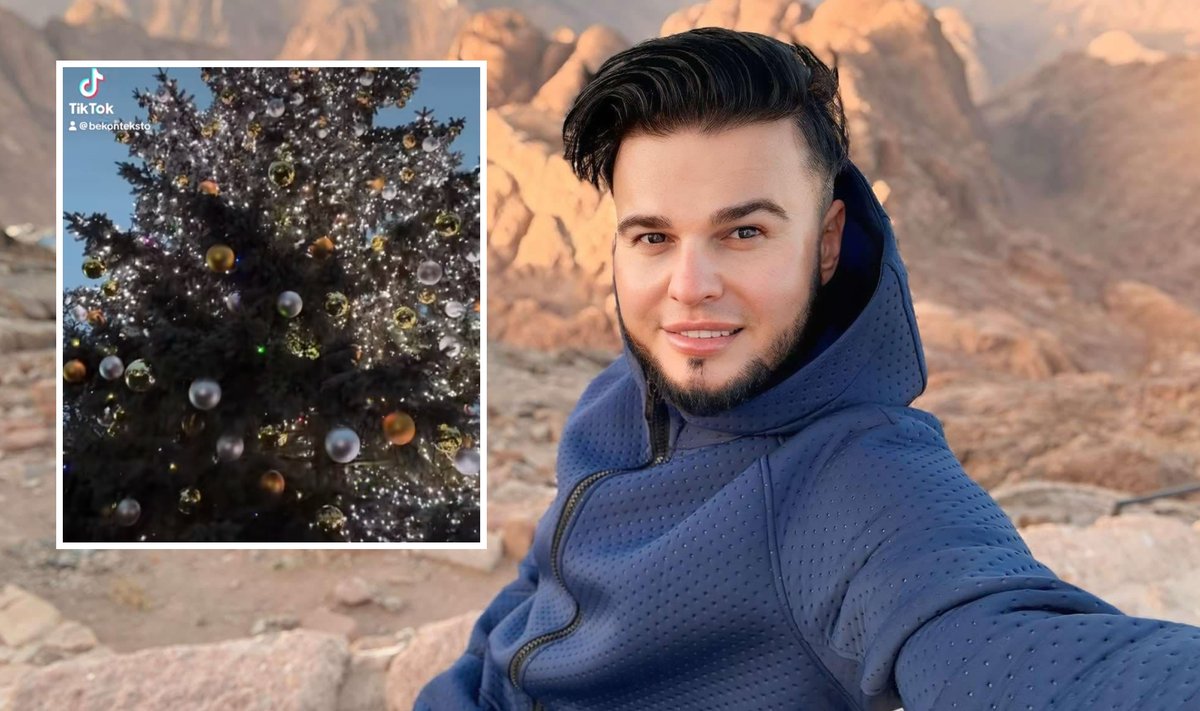 Vytenis Partikas neapsikentė pamatęs Jurbarko eglę: gėda man - Delfi veidai