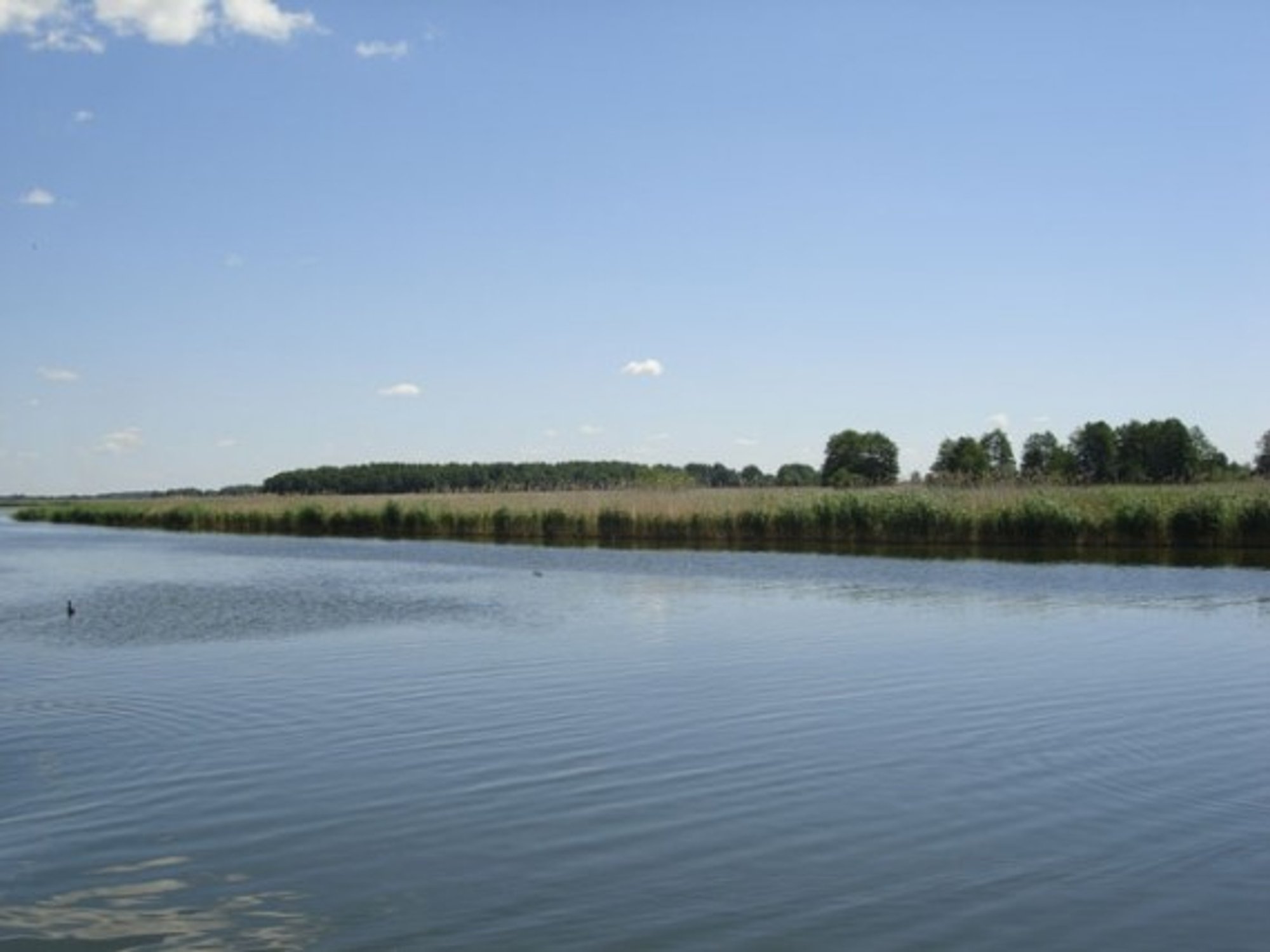 Nemuno delta po 50 metų gali nuskęsti - geologai - Delfi grynas