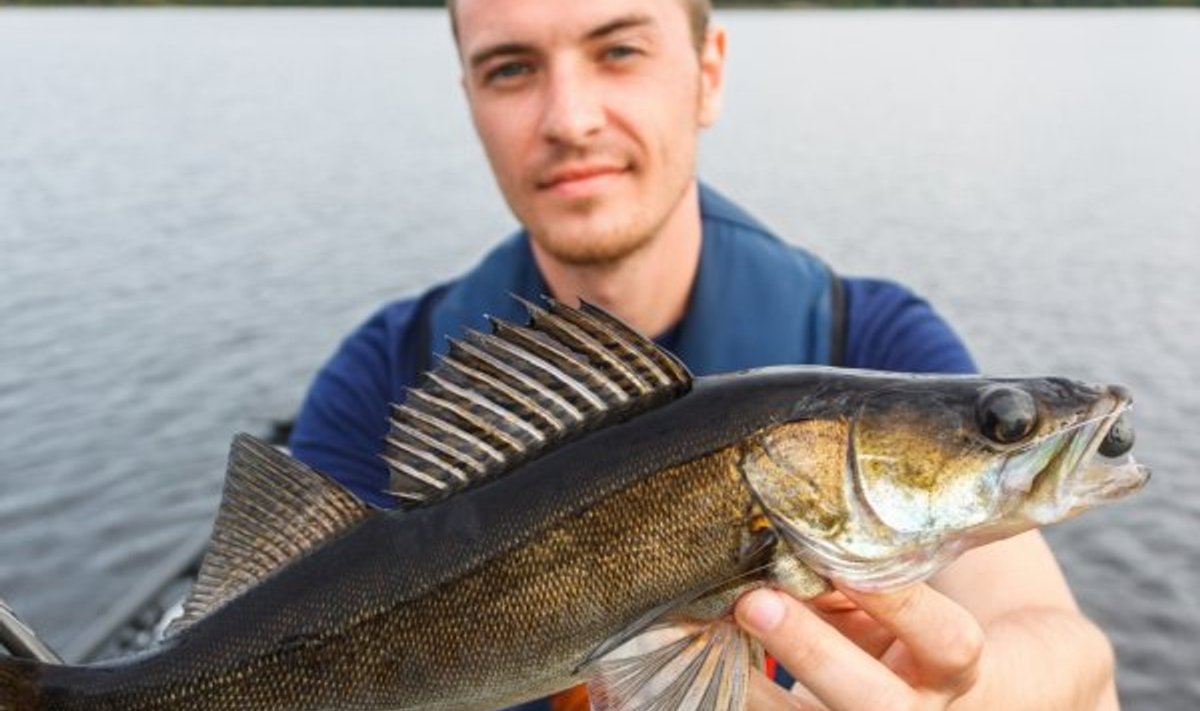 Top 20 Lietuvos ežerų, kur daugiausiai prileista žvejų trokštamų ...