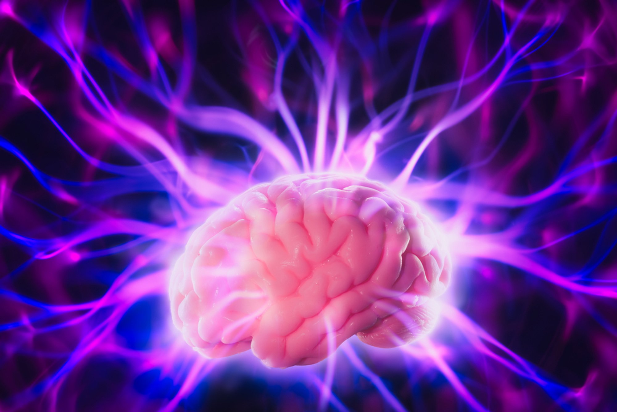 5 keisti faktai apie smegenis, kurių tikriausiai nežinojote - Delfi mokslas