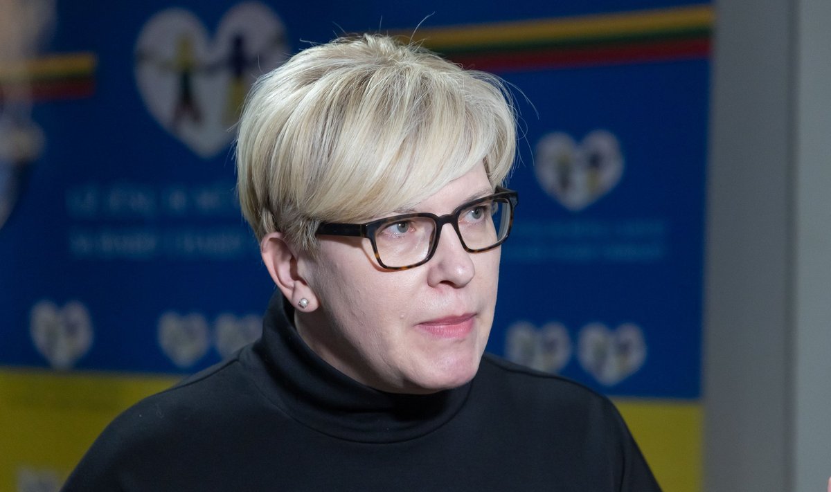 Šimonytė apie Žemaitaičio perspektyvas tapti Seimo vicepirmininku: jo ...