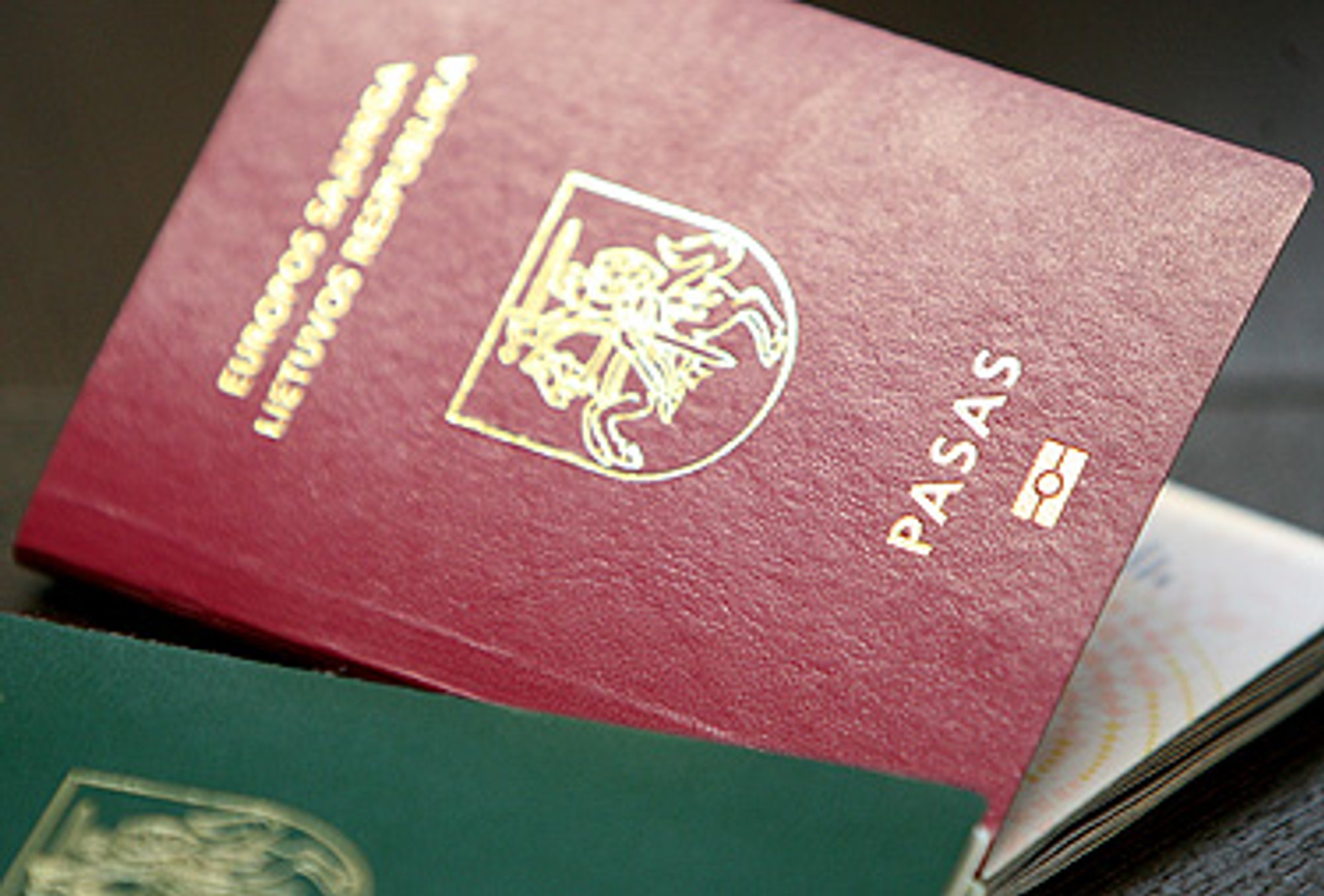 Nusivylęs pilietis: pilietybės man jau nebereikia - Delfi kartu